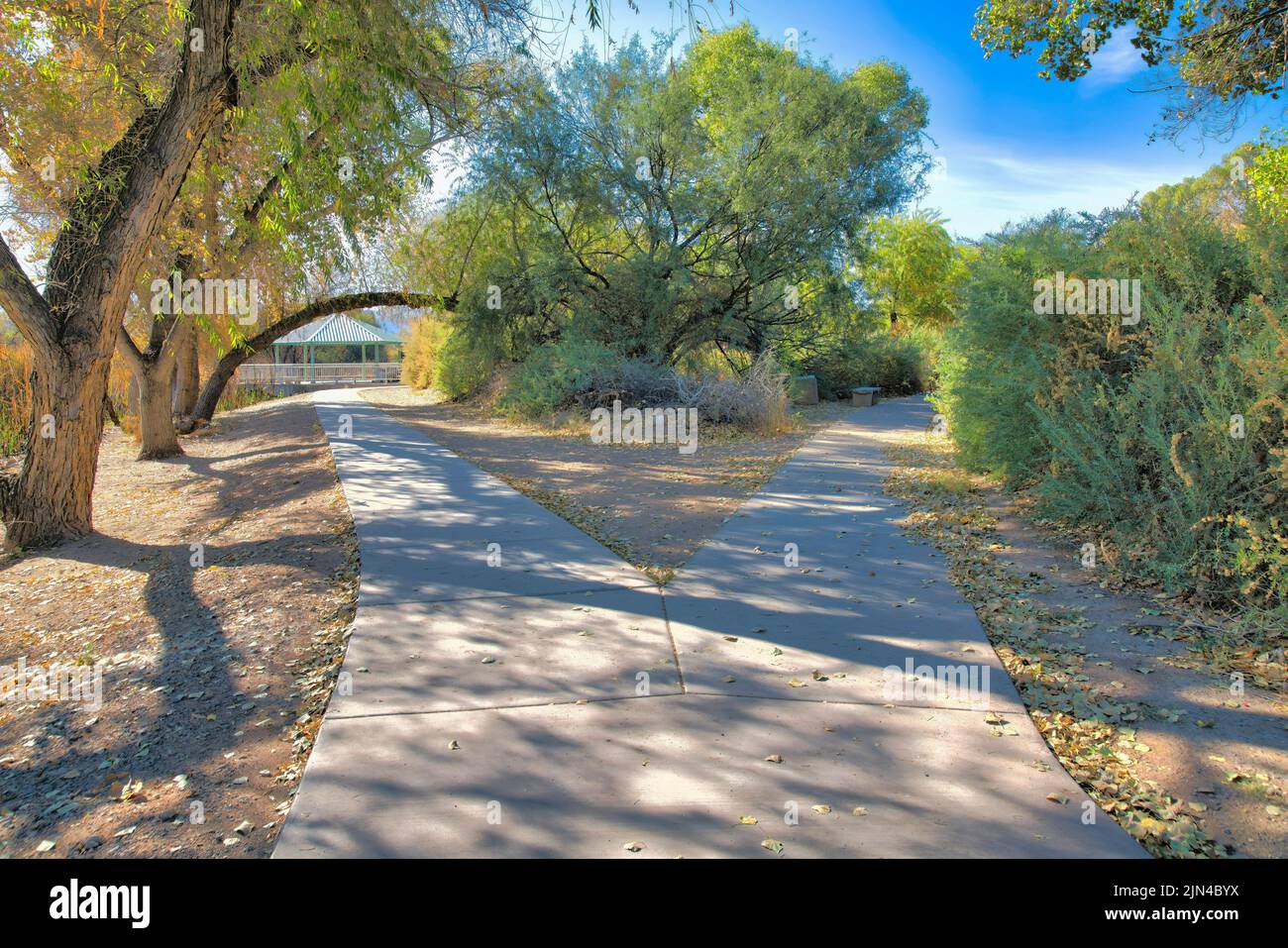 Y-shaped concrete pathways at Sweetwater Wetlands in Tucson, Arizona ...
