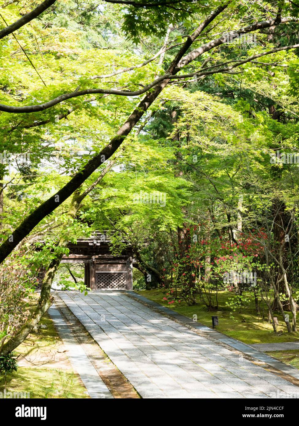 Kochi, Japan - April 6, 2018: On the grounds of Chikurinji, temple ...