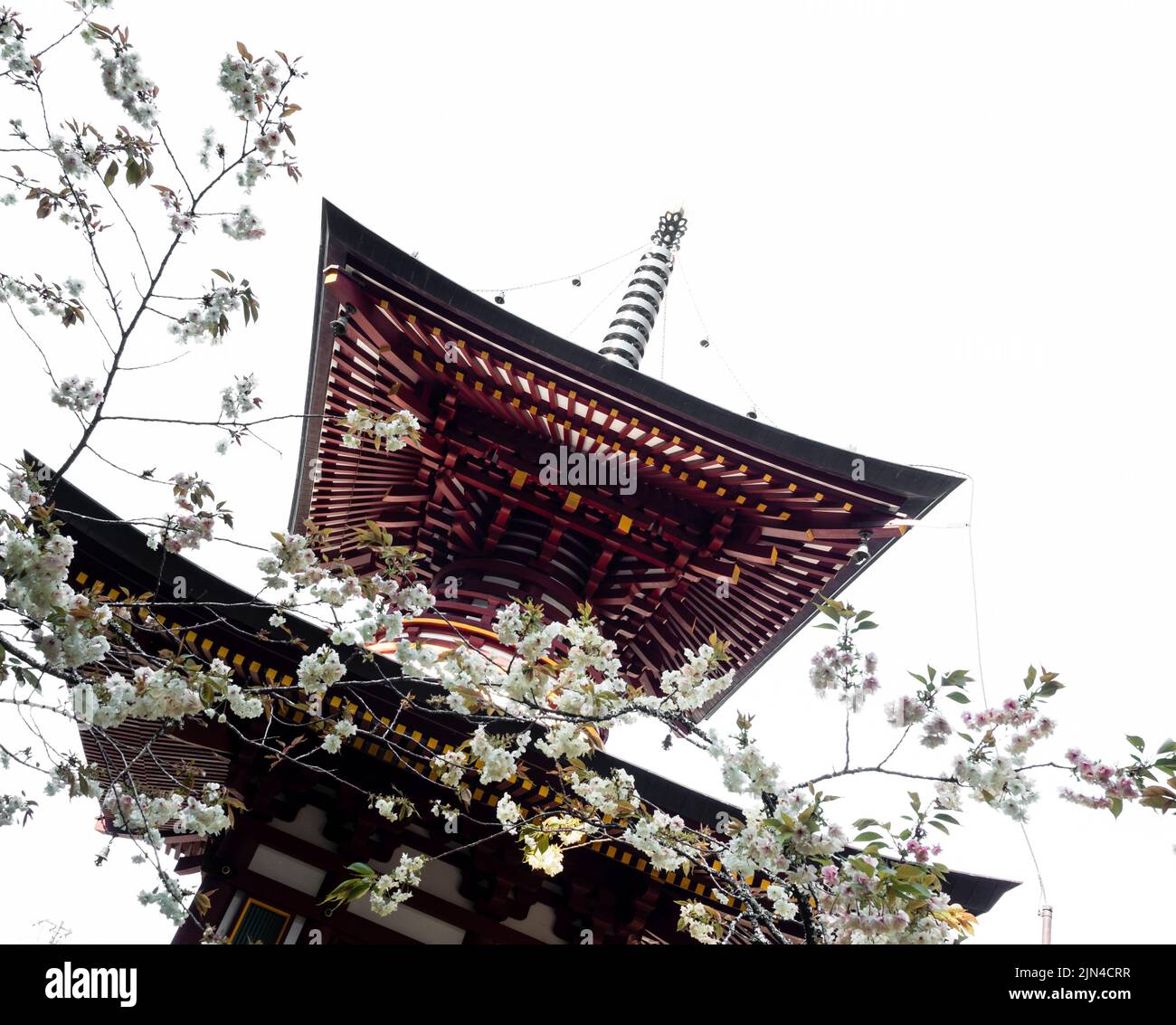 Tosa, Kochi Prefecture, Japan - April 7, 2018: Cherry blossoms and red ...