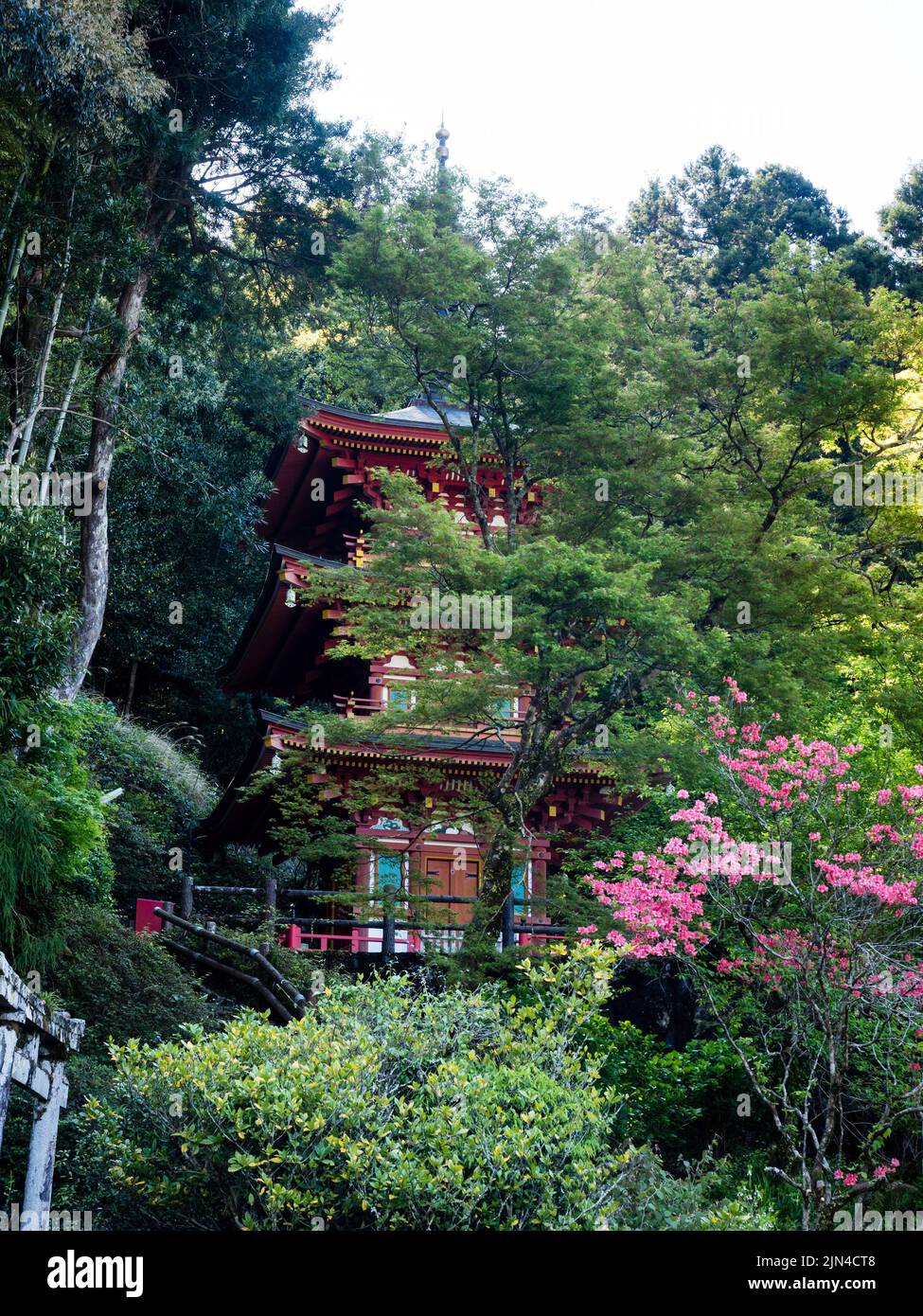 Tosa, Kochi Prefecture, Japan - April 7, 2018: Springtime at Shoryuji ...