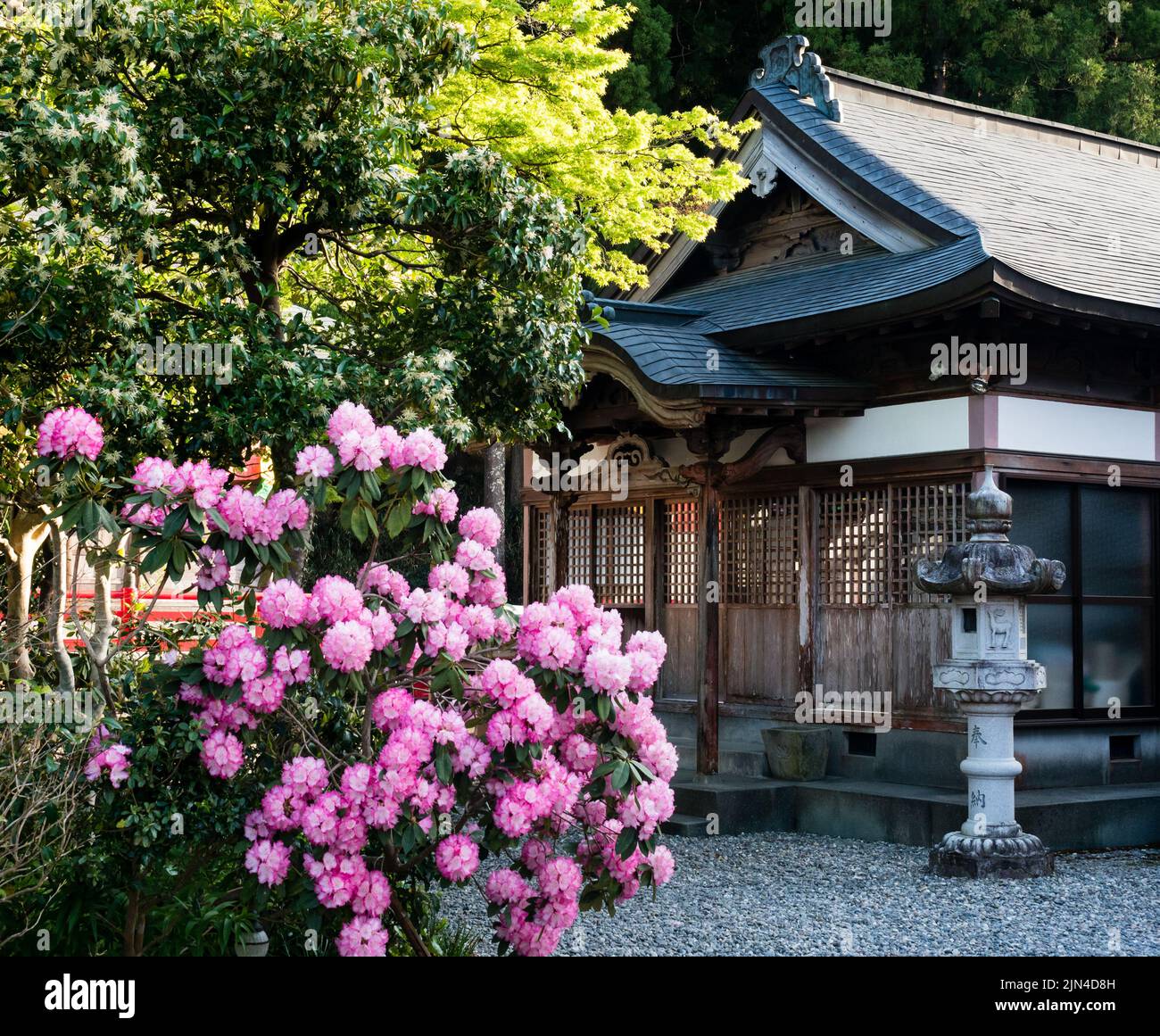 Kochi Prefecture, Japan - April 8, 2018: Springtime on the grounds of ...