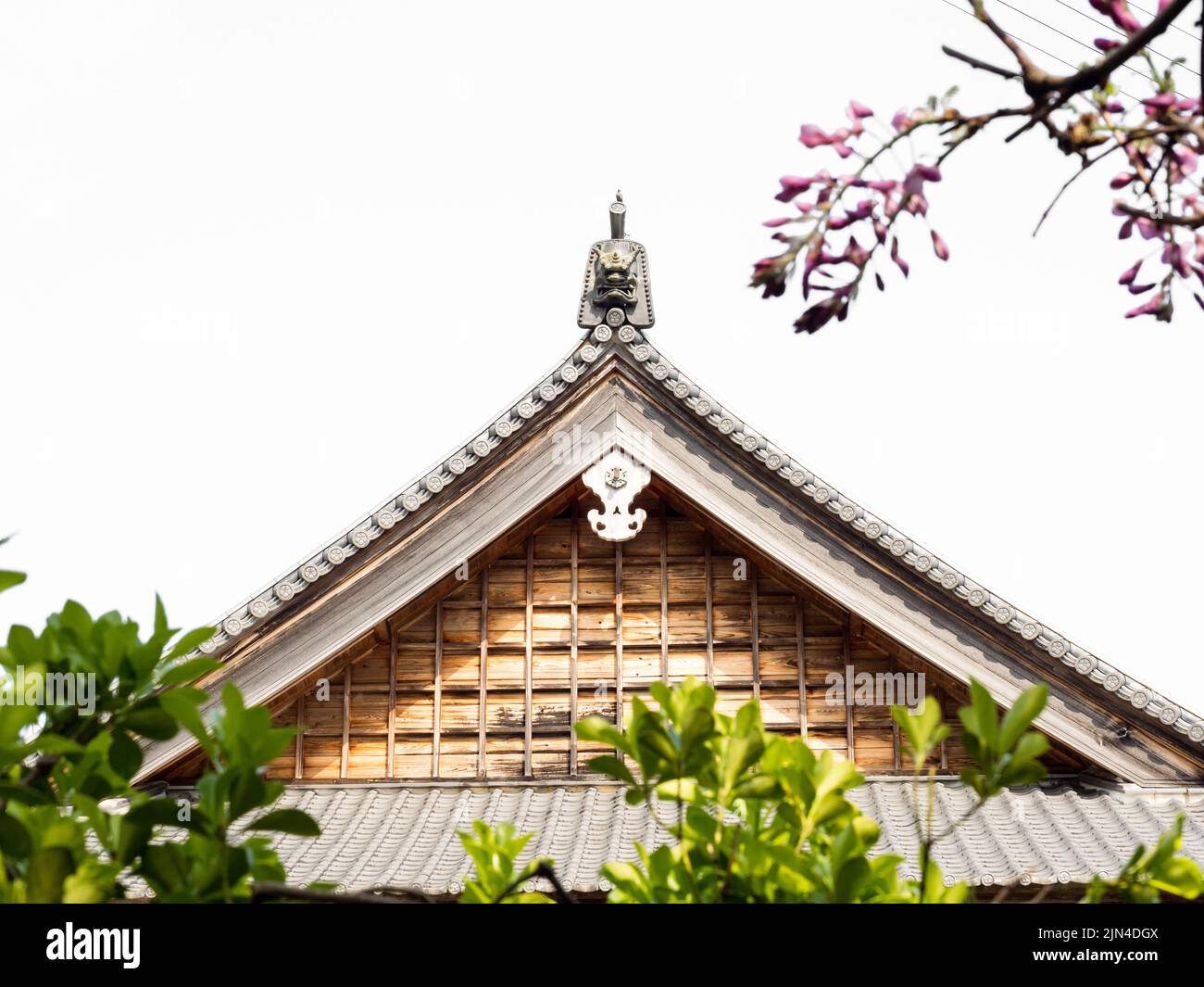 Roof of traditional Japanese house with wisteria flowers blooming Stock ...