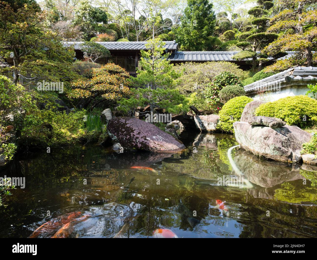 Sukumo, Japan - April 8, 2018: Traditional Japanese garden with pond on ...