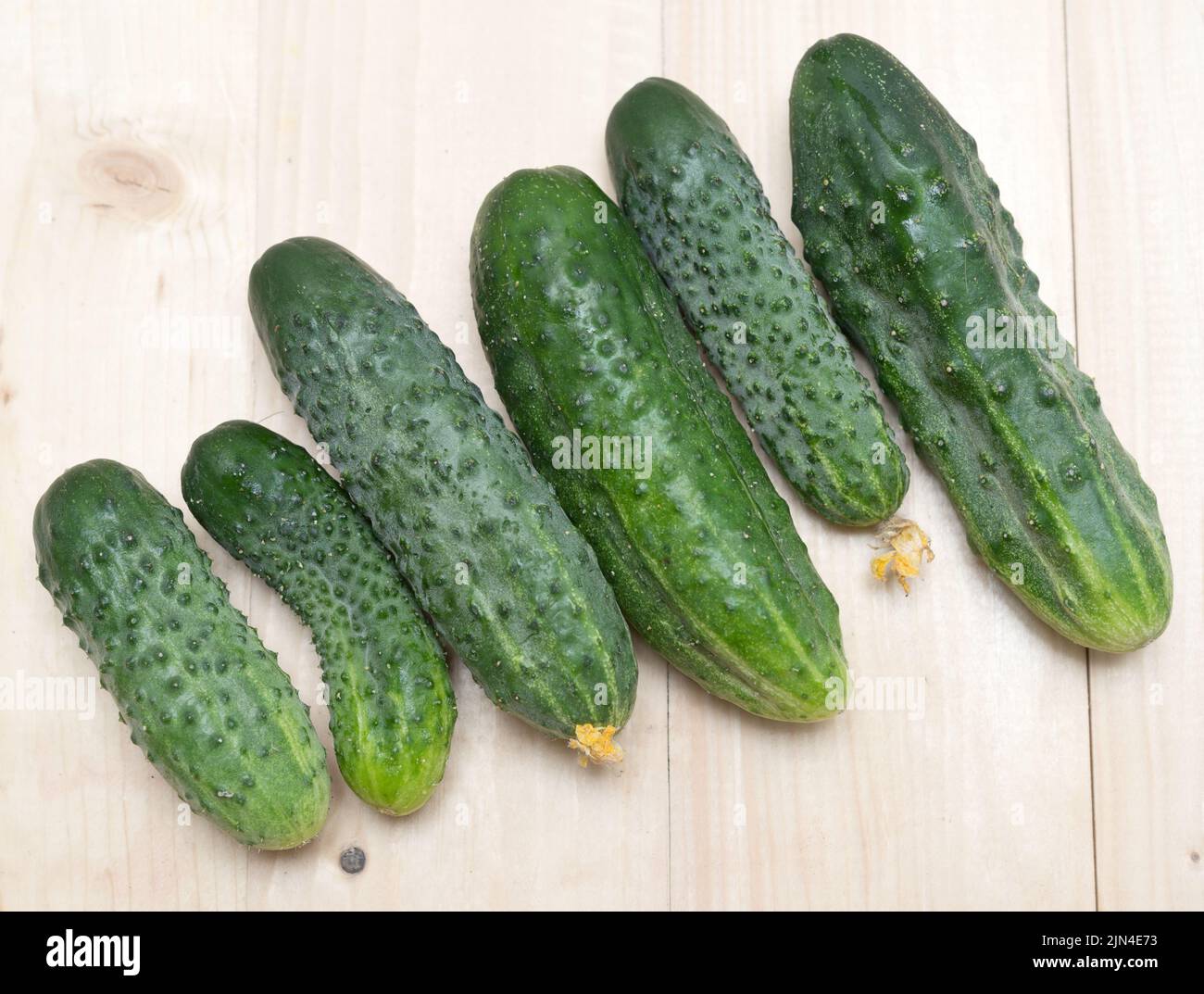 Fresh cucumbers on wooden background Stock Photo - Alamy