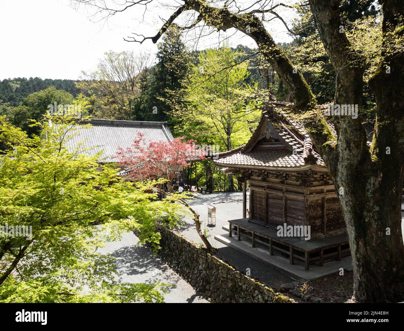 Seiyo, Ehime prefecture, Japan - April 9, 2018: Springtime at Meisekiji ...