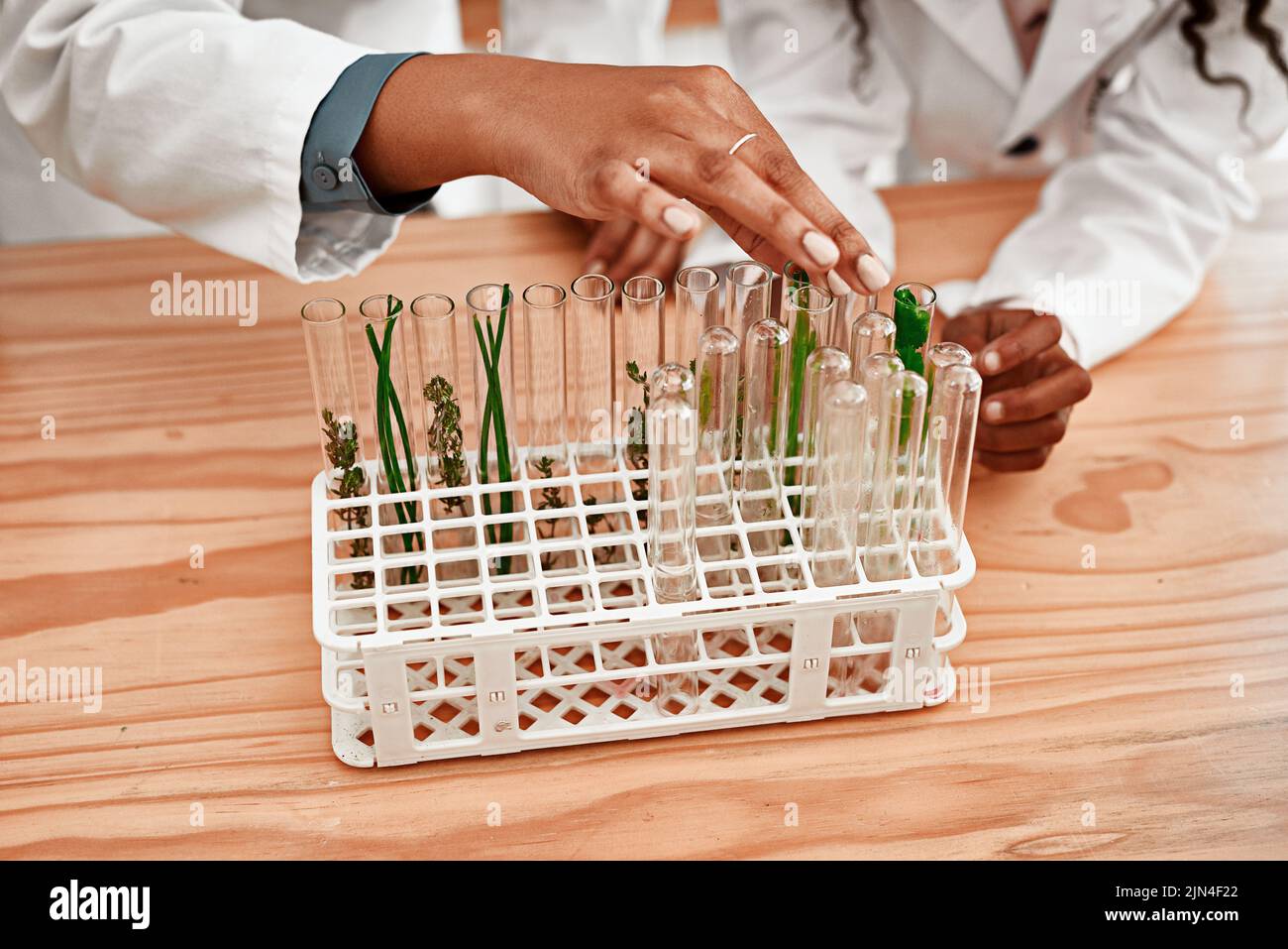 Putting plant life into focus. a child learning about plants with their ...