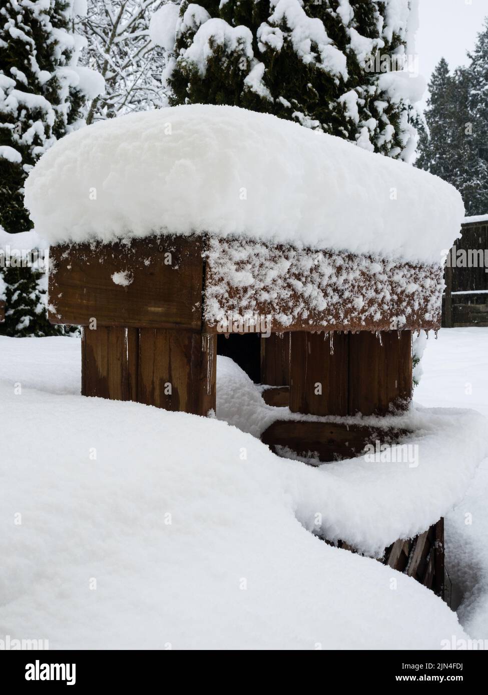 Wooden bench, deck and backyard covered in deep snow - Washington state ...