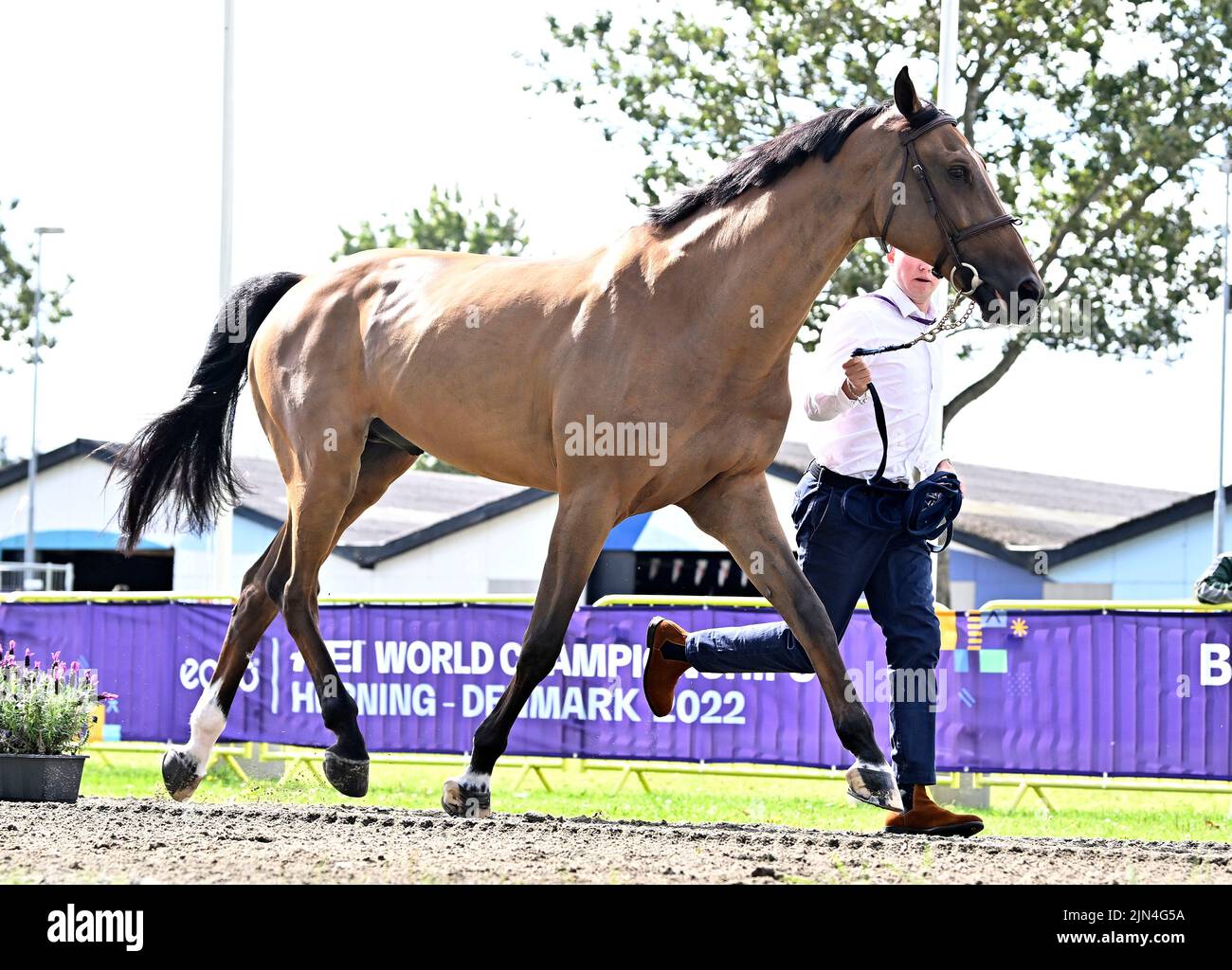 Romeo 88 hi-res stock photography and images - Alamy