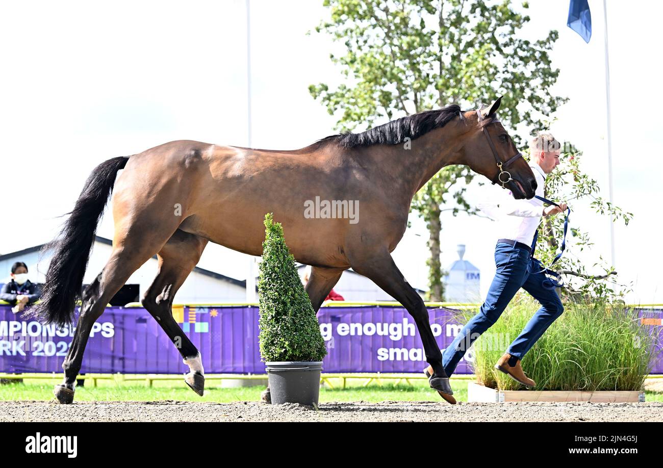 Joseph stockdale hi-res stock photography and images - Alamy