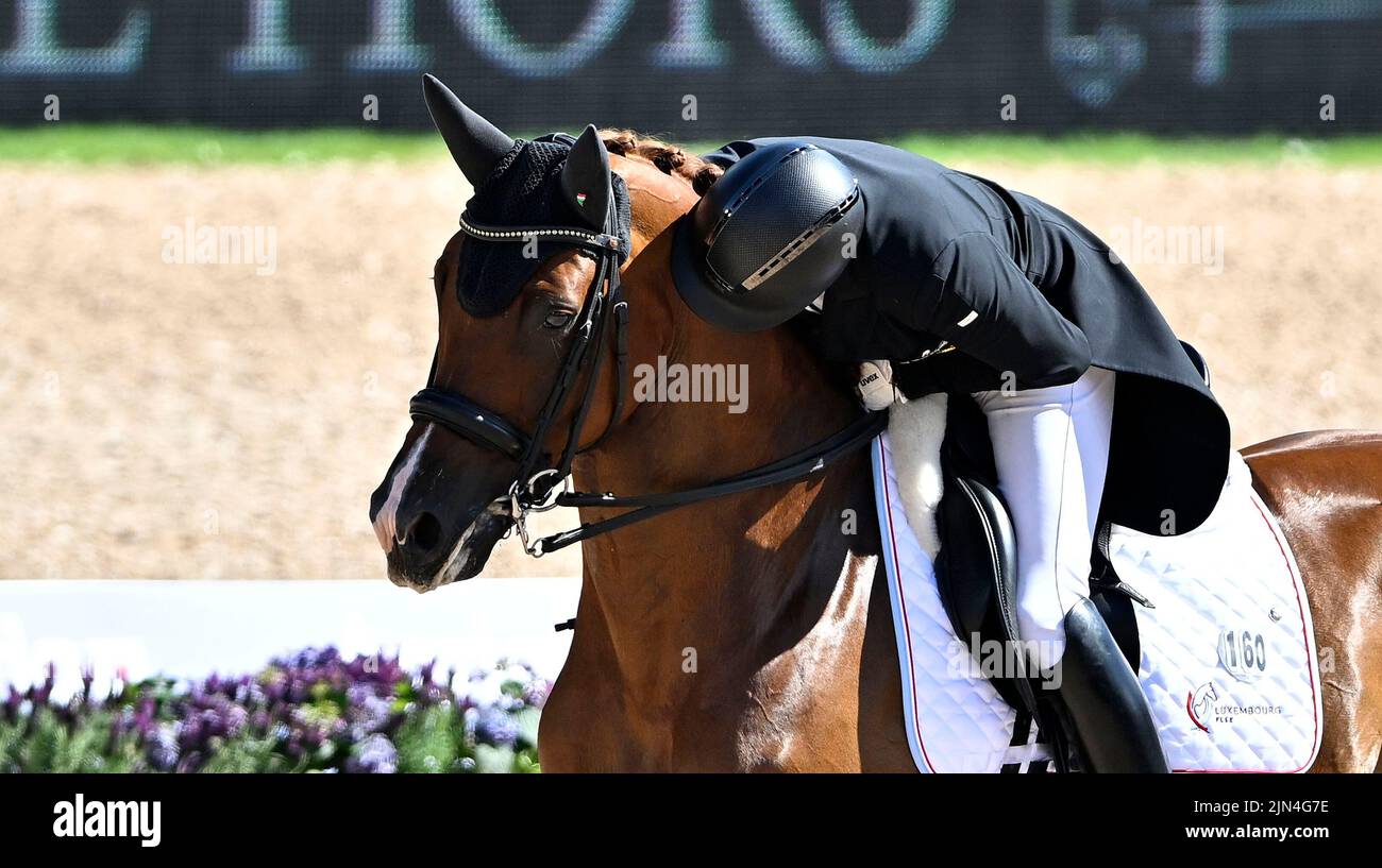 Herning. Denmark. 08 August 2022. World Equestrian Games. . Nicolas ...