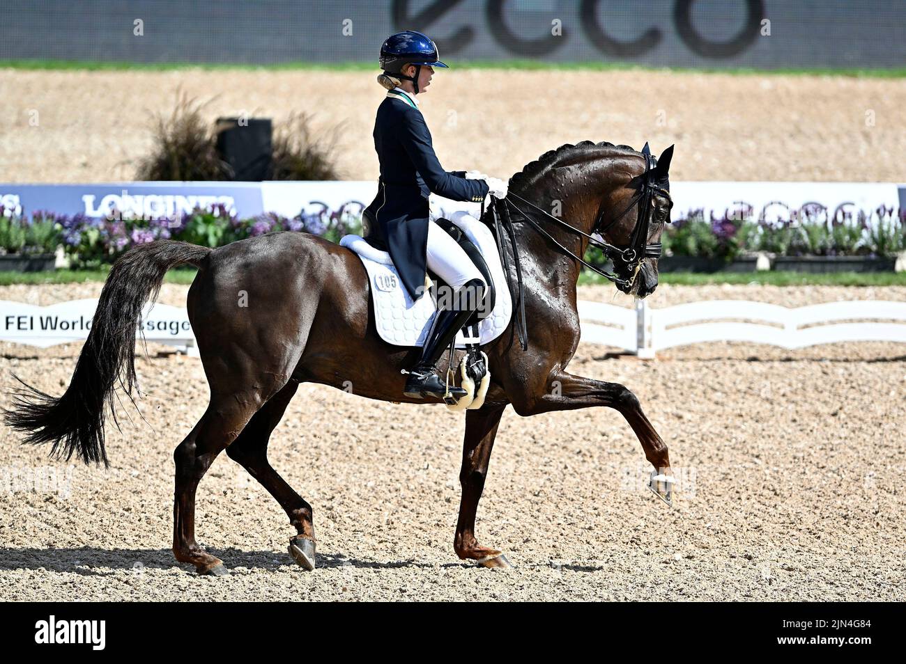 Herning. Denmark. 08 August 2022. World Equestrian Games. . Simone ...