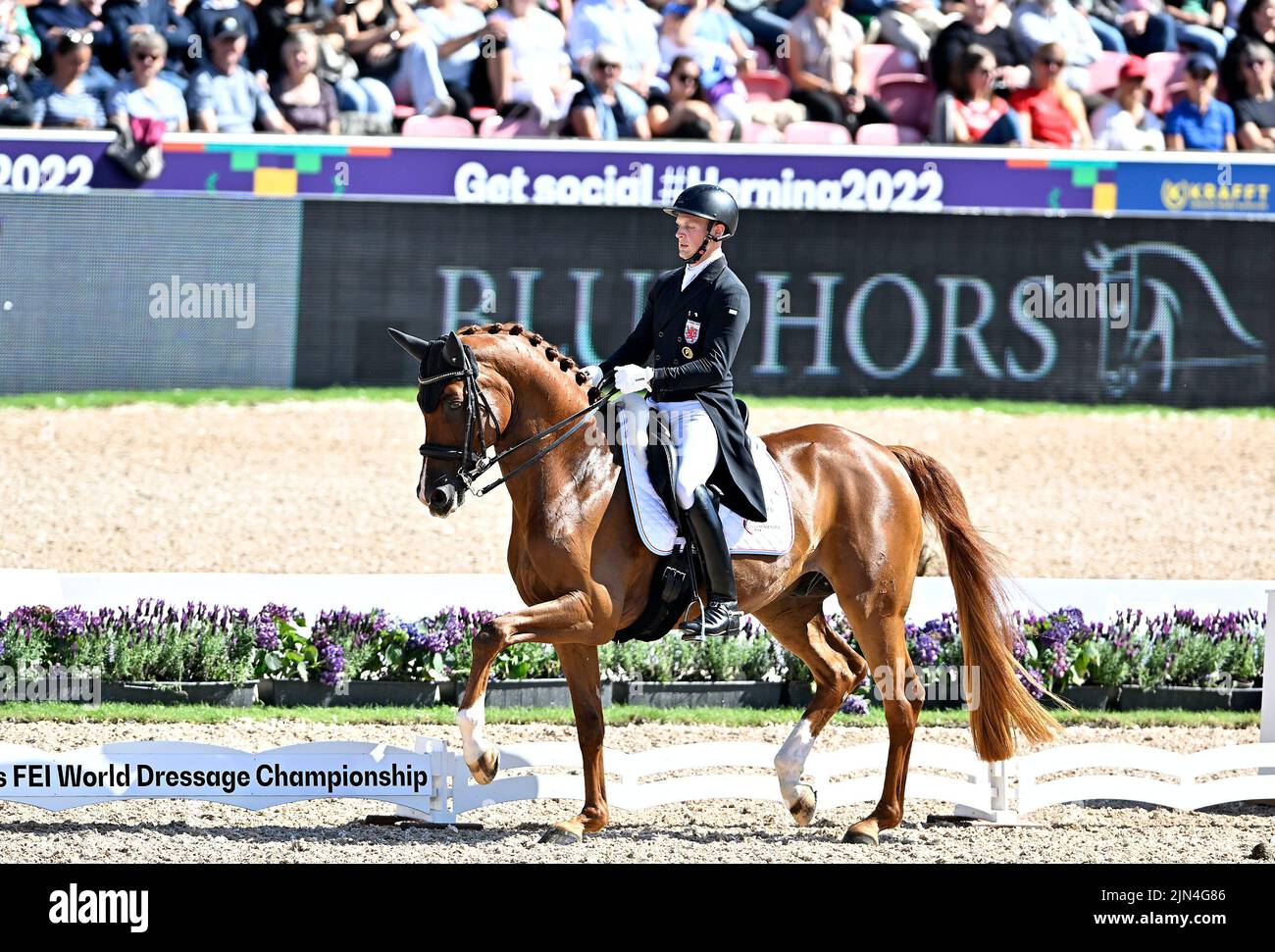 Herning. Denmark. 08 August 2022. World Equestrian Games. . Nicolas ...