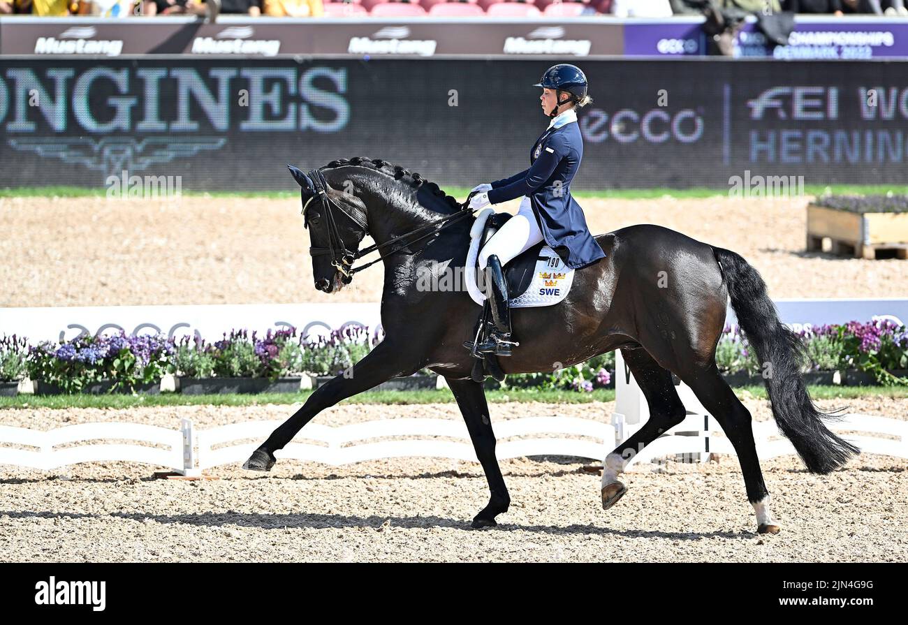 Herning. Denmark. 08 August 2022. World Equestrian Games. . Therese ...