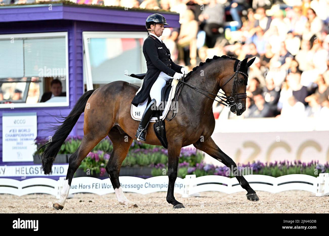Herning, Denmark. 08th Aug, 2022. World Equestrian Games. Isabell Werth ...