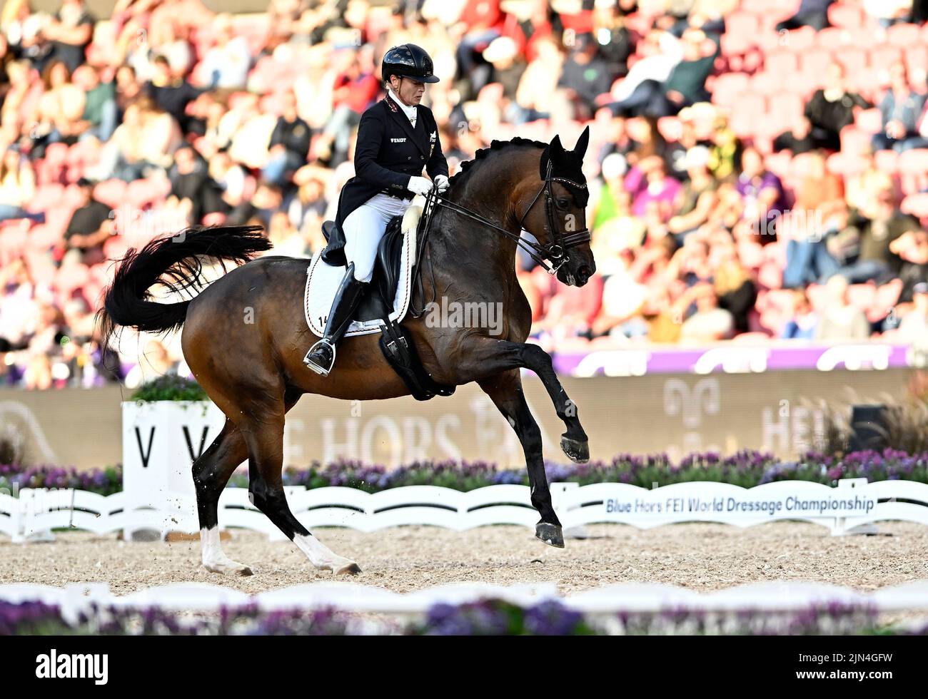 Isabell werth dsp quantaz hi-res stock photography and images - Alamy