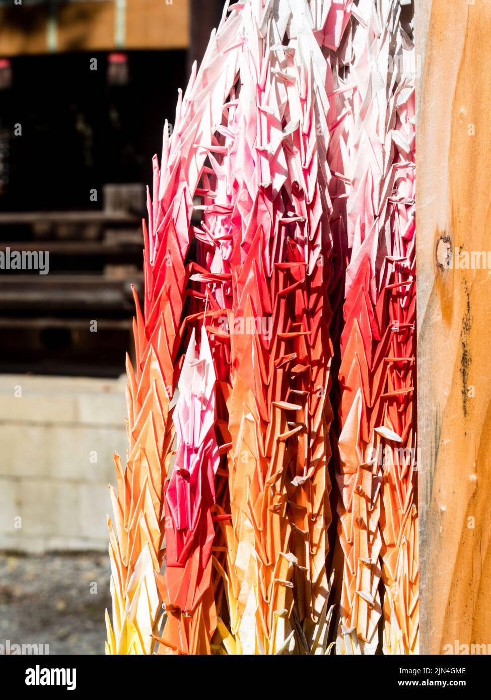 Origami paper cranes on the grounds of Suwa Taisha Shimosha Akimiya ...