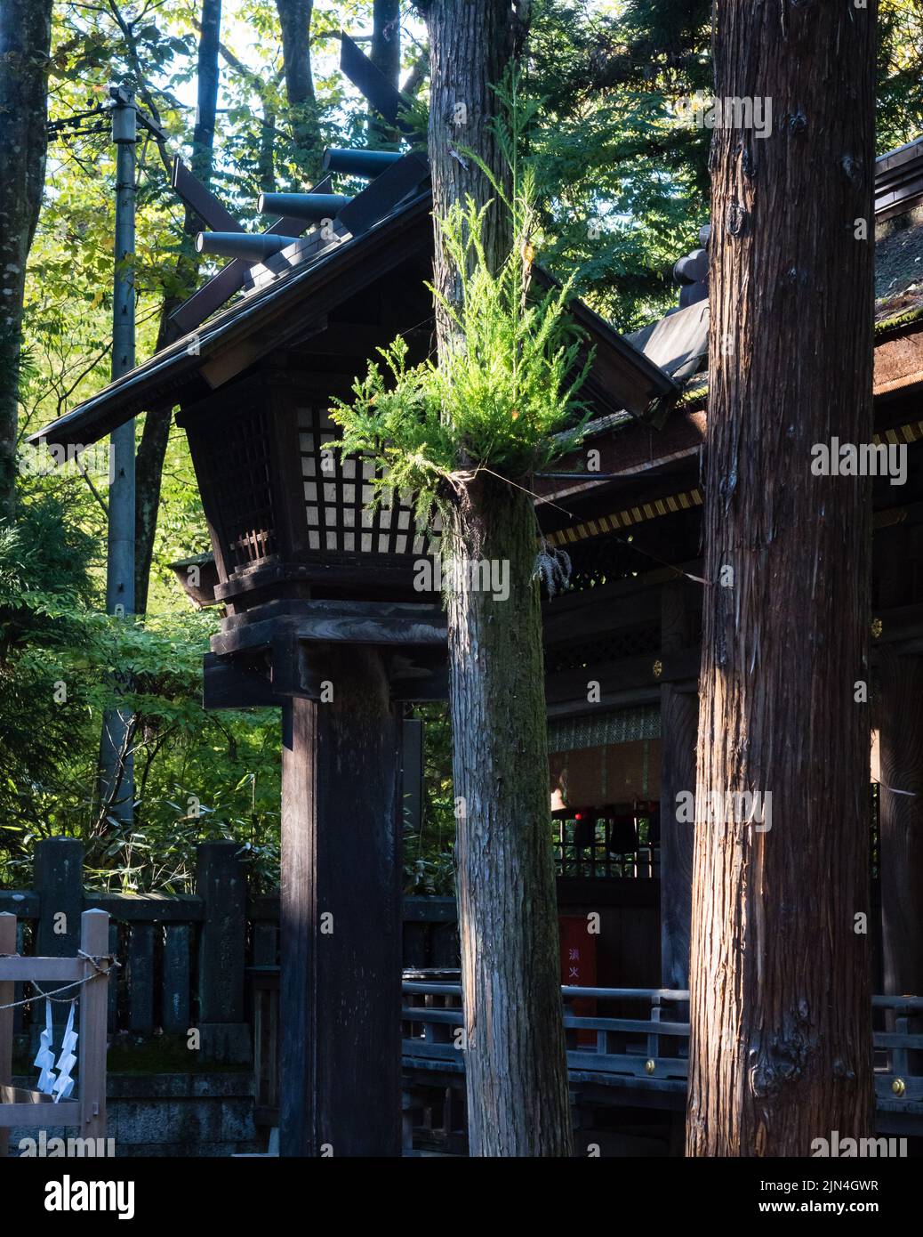 Shimosuwa, Nagano prefecture, Japan - October 22, 2017: On the grounds ...
