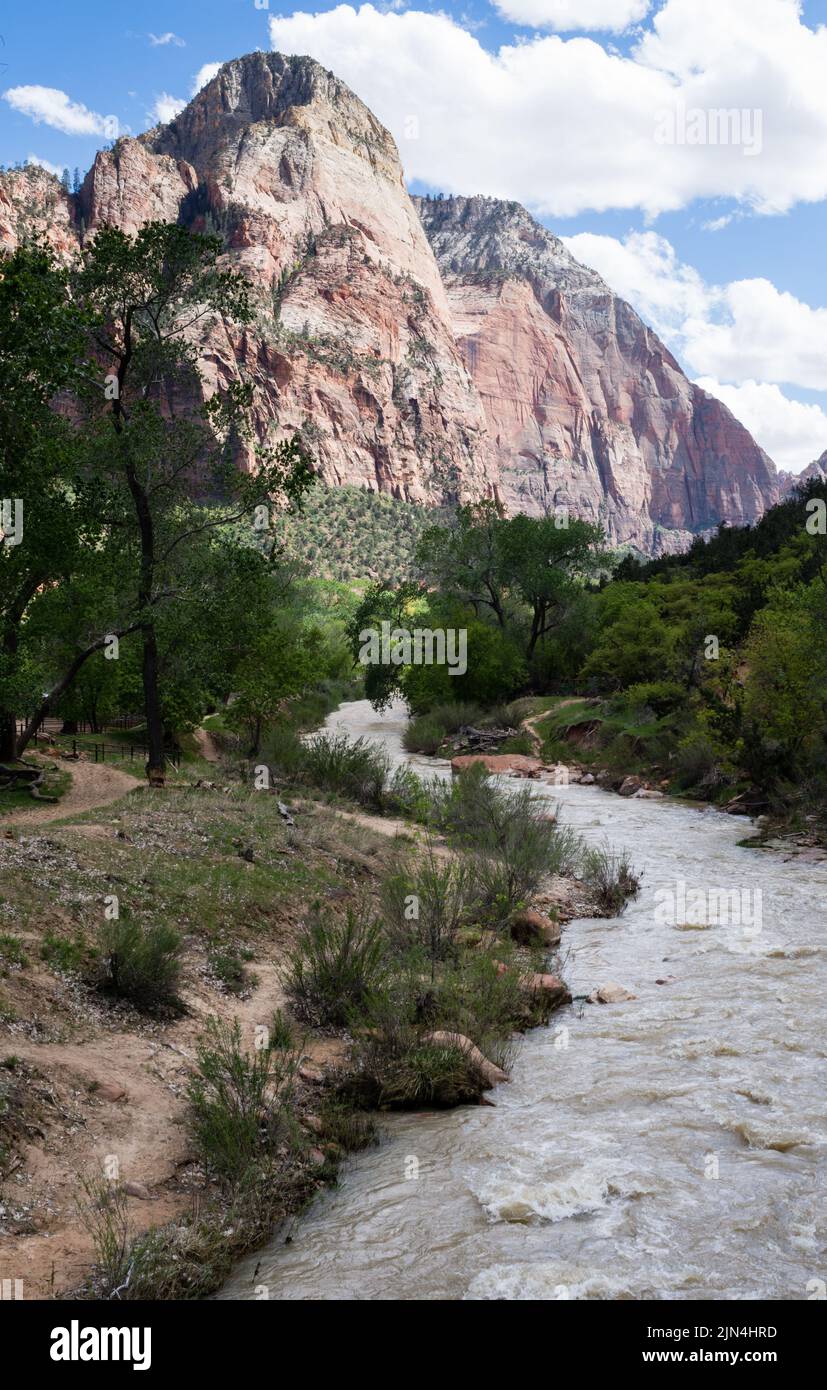 The Watchman and the Virgin river running through Zion Canyon at Zion ...