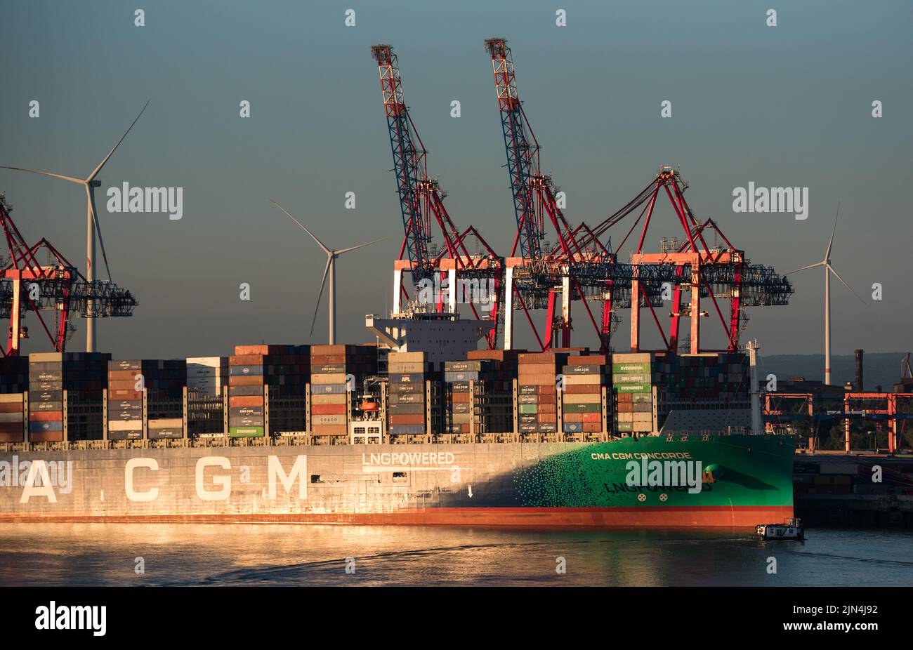 Hamburg, Germany. 09th Aug, 2022. The container ship "CMA CGM Concorde ...