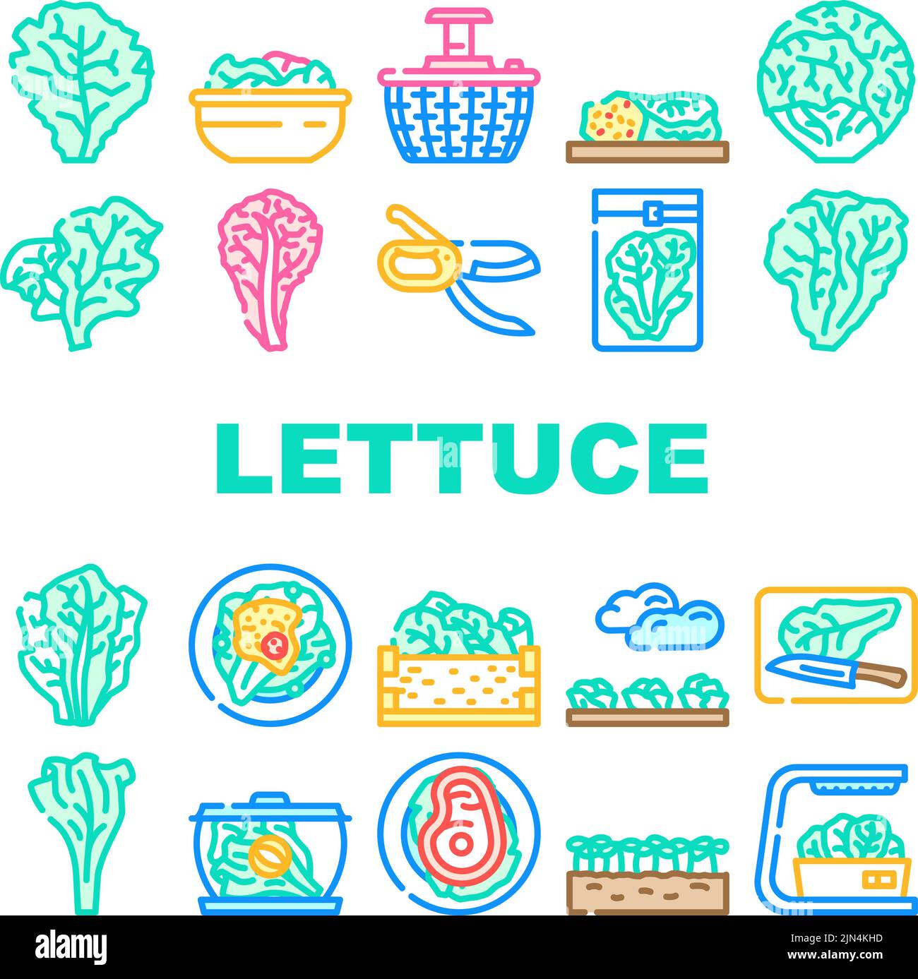 lettuce salad leaf vegetable icons set vector Stock Vector Image & Art ...