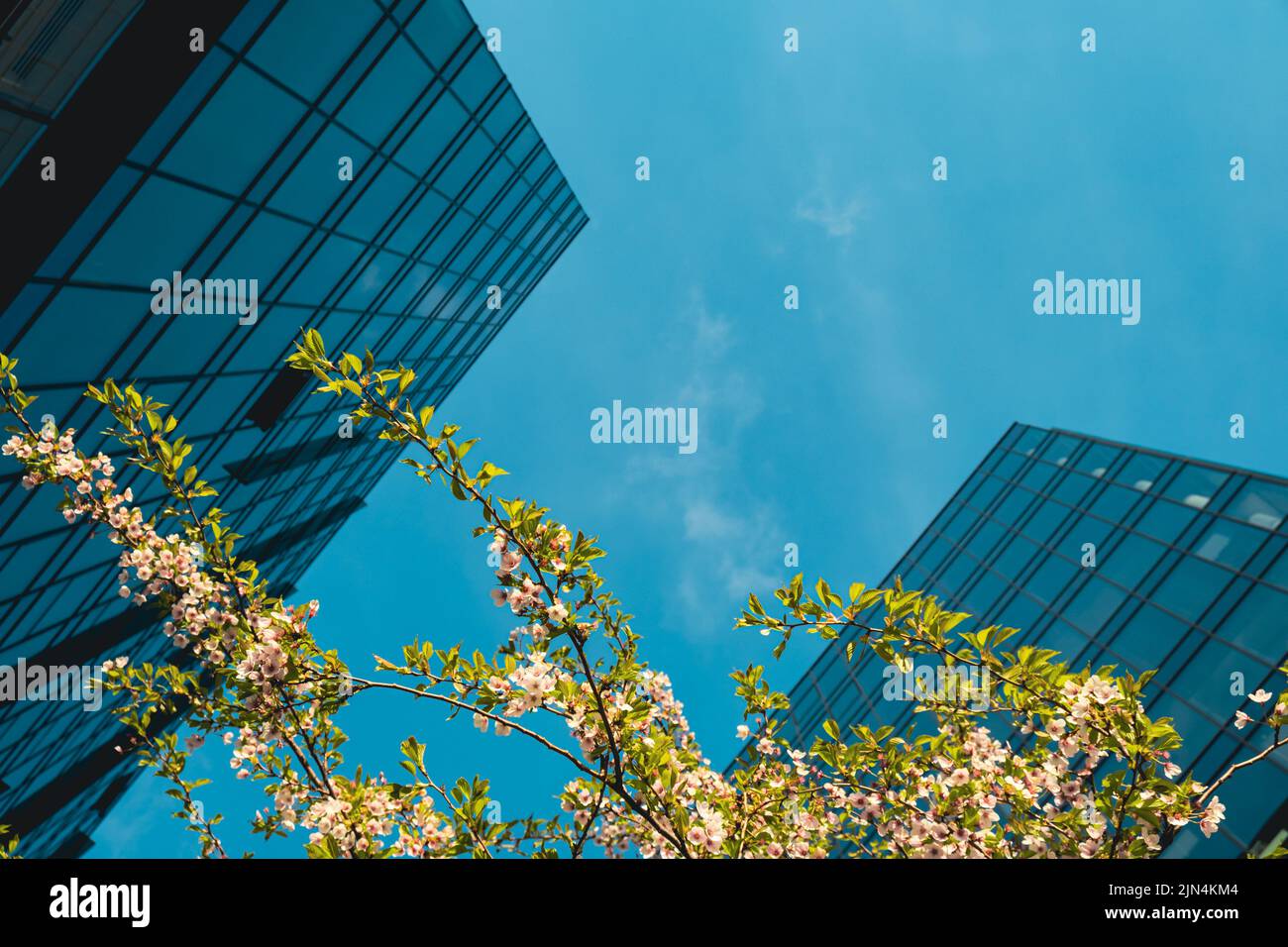 Time lapse on modern wall hi-res stock photography and images - Alamy