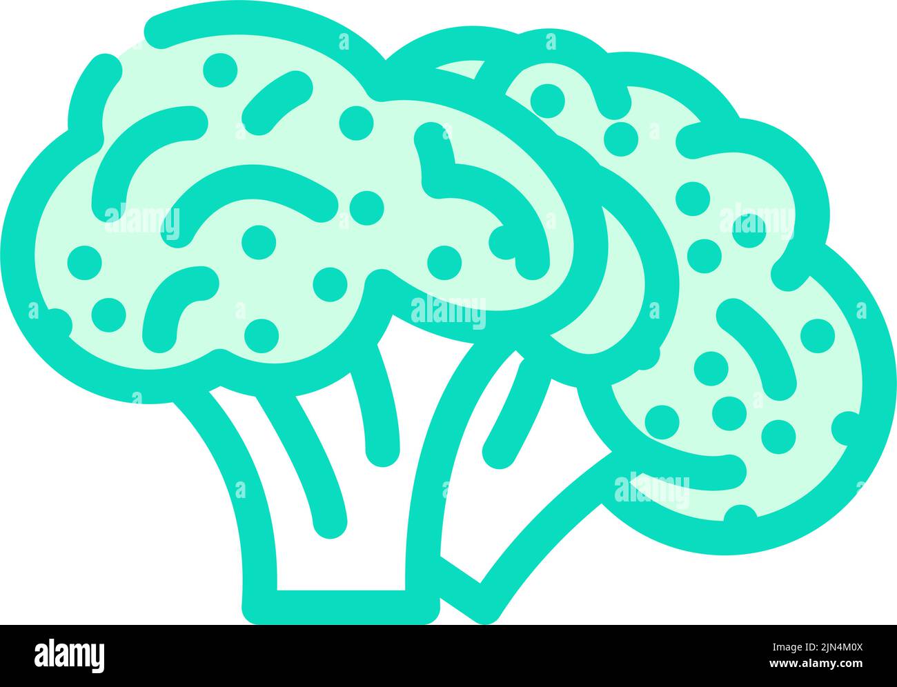 two broccoli color icon vector illustration Stock Vector Image & Art ...