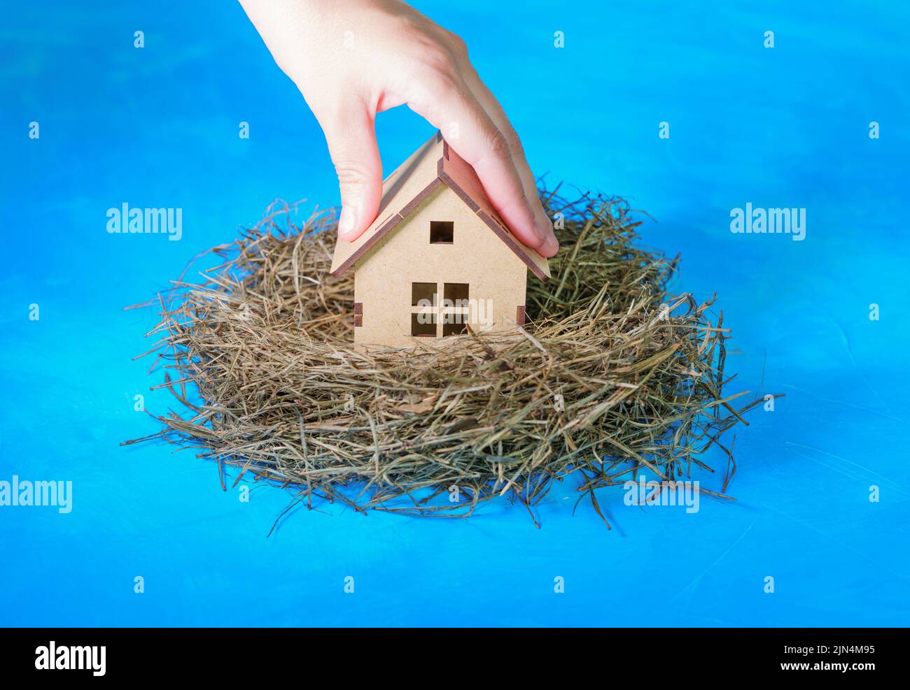Hand placing a miniature wooden house in a hay nest isolated on blue ...