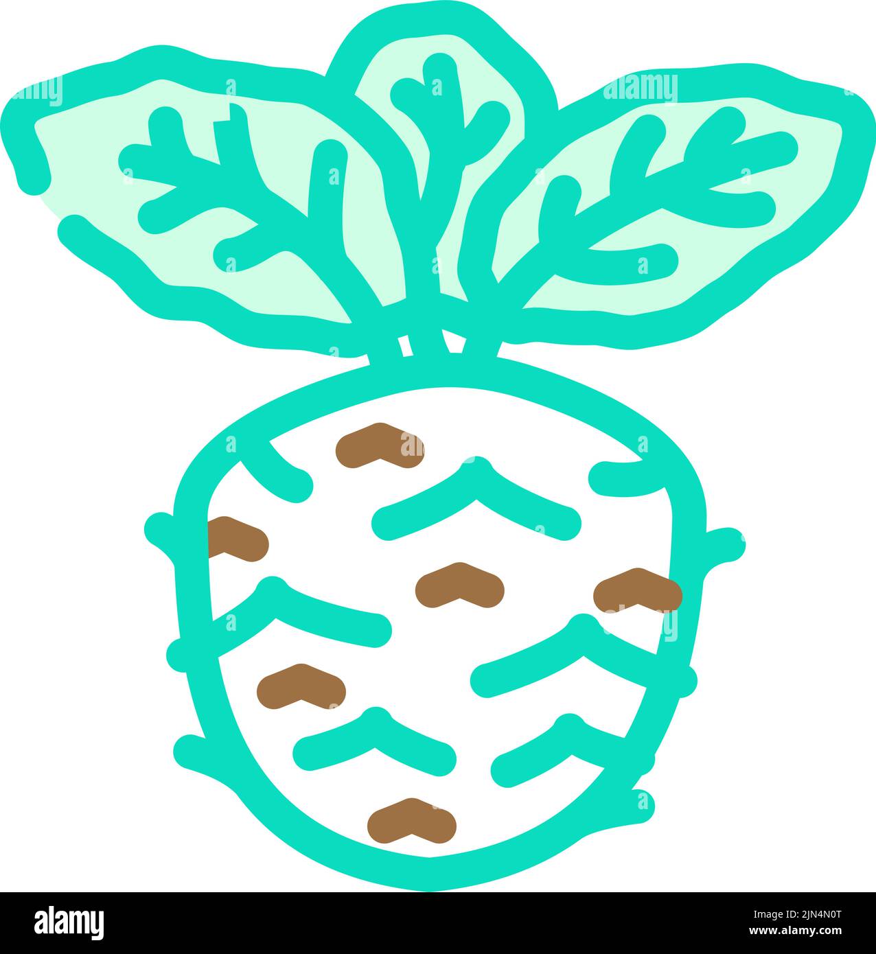 kohlrabi cabbage color icon vector illustration Stock Vector Image ...