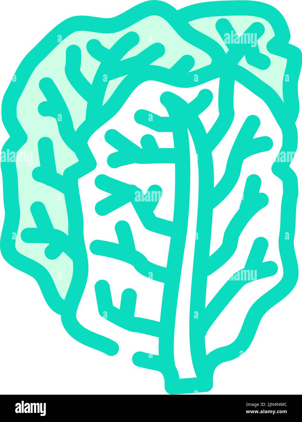 kale food color icon vector illustration Stock Vector Image & Art - Alamy