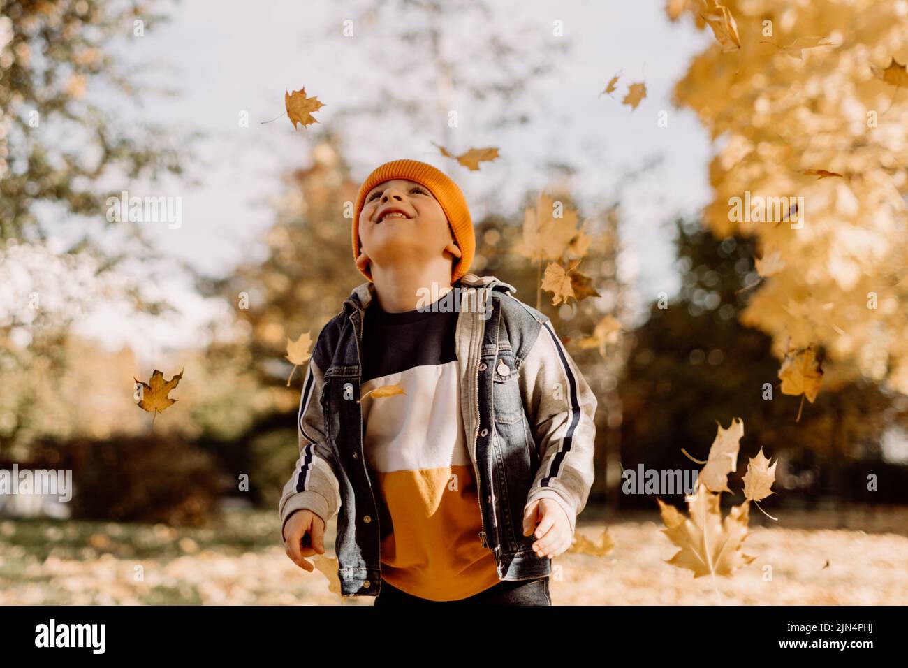 Kid having fun in autumn park with fallen leaves, throwing up leaf ...