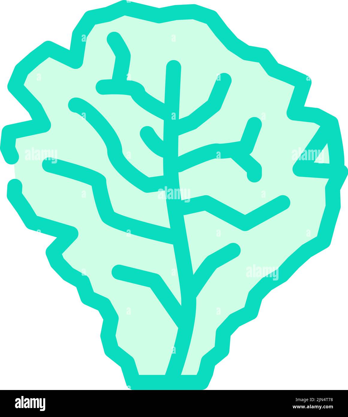 lettuce salad color icon vector illustration Stock Vector Image & Art ...