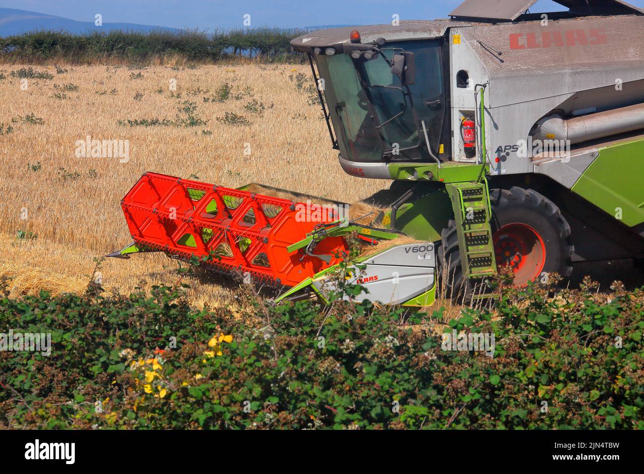 The local farmer out in his Combine Harvester gathering in this years ...