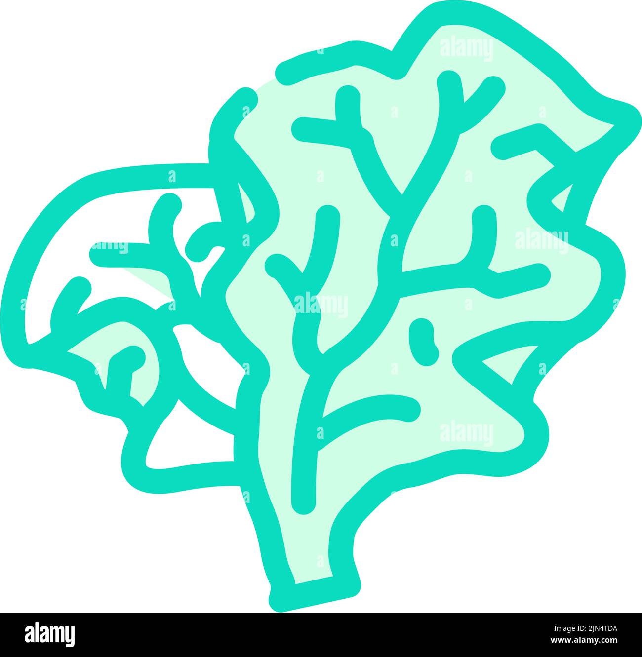 lichty salad color icon vector illustration Stock Vector Image & Art ...