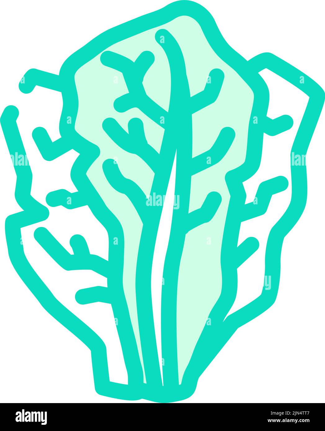 lettuce food color icon vector illustration Stock Vector Image & Art ...