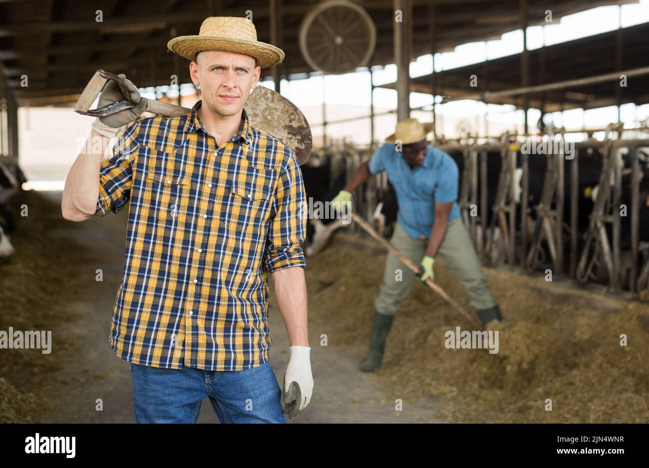 Male farmer posing at cowshed on farm Stock Photo - Alamy