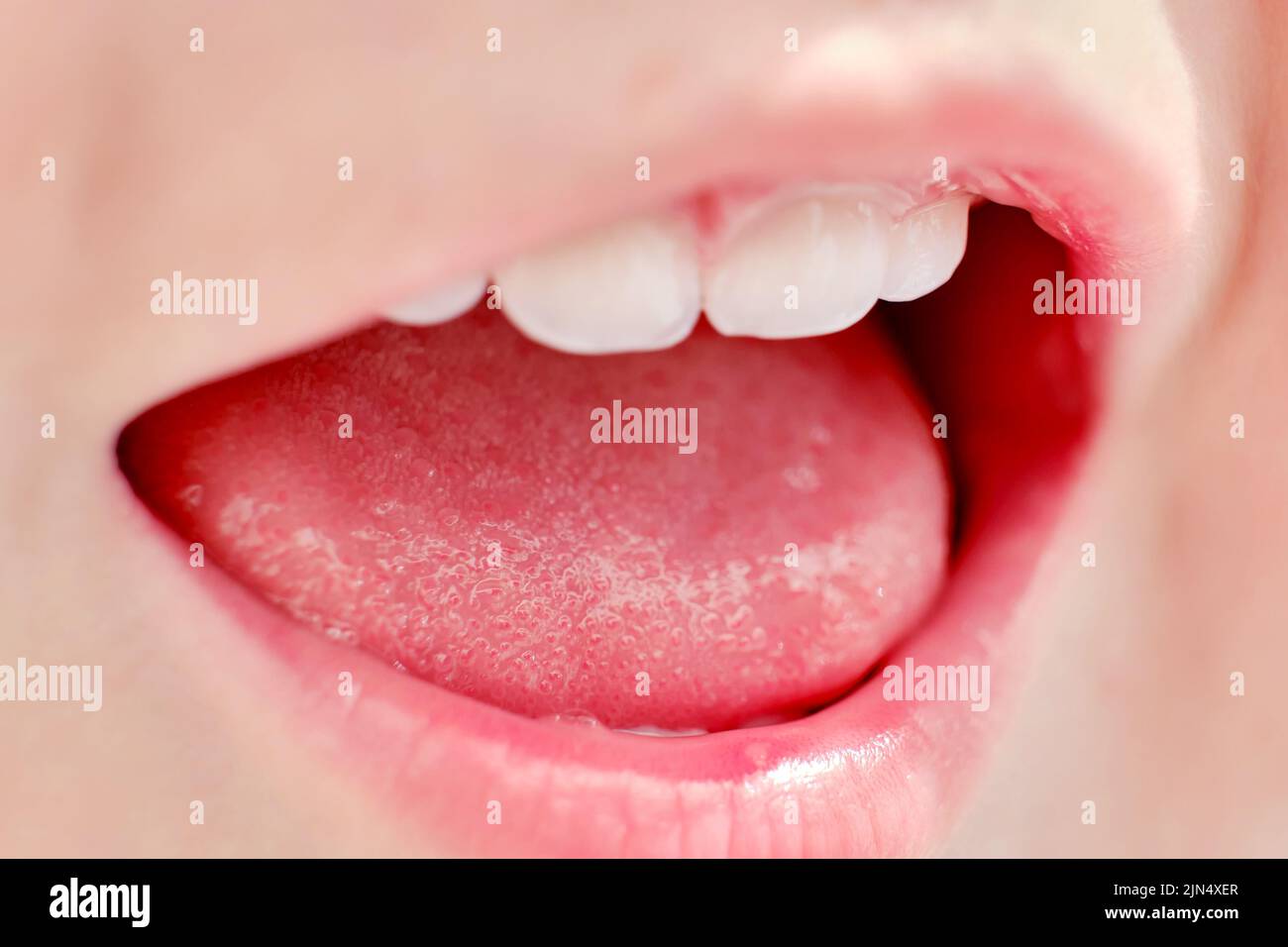 Upper teeth and baby tongue age one year close-up, child mouth macro ...