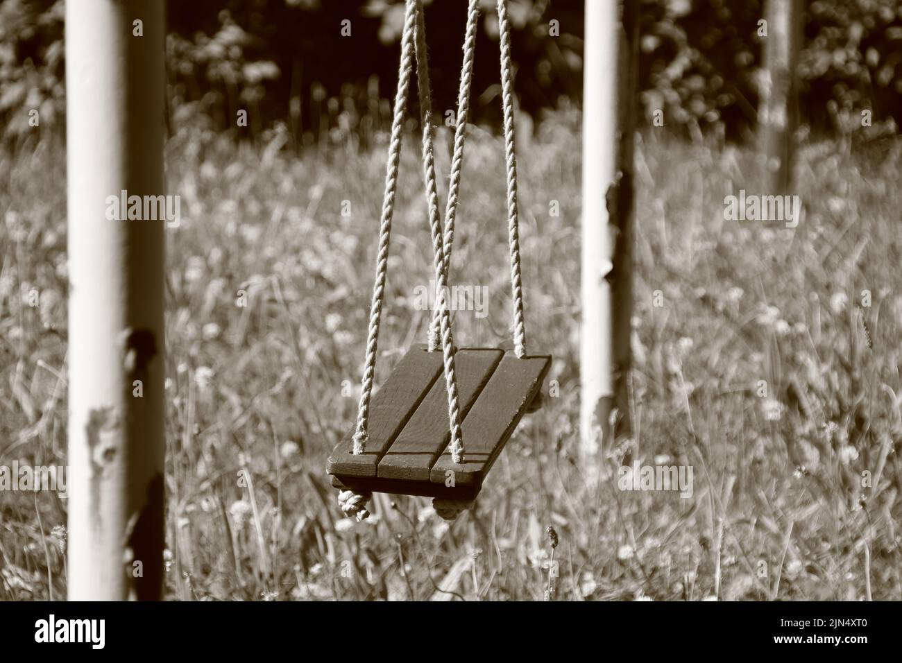 The grayscale of an empty simple wooden swing hanging over the grass ...