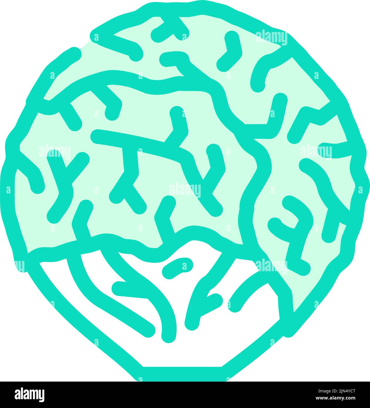 kachan salad color icon vector illustration Stock Vector Image & Art ...