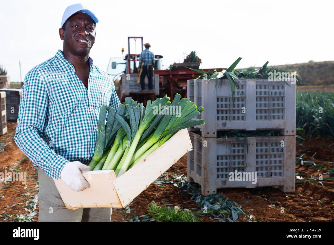 African american man with a box of leeks in field Stock Photo - Alamy