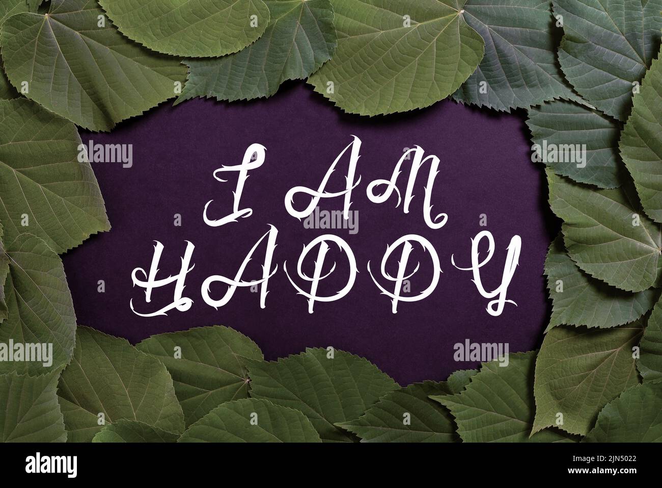 Sign displaying I Am Happy. Word Written on To have a fulfilled life ...