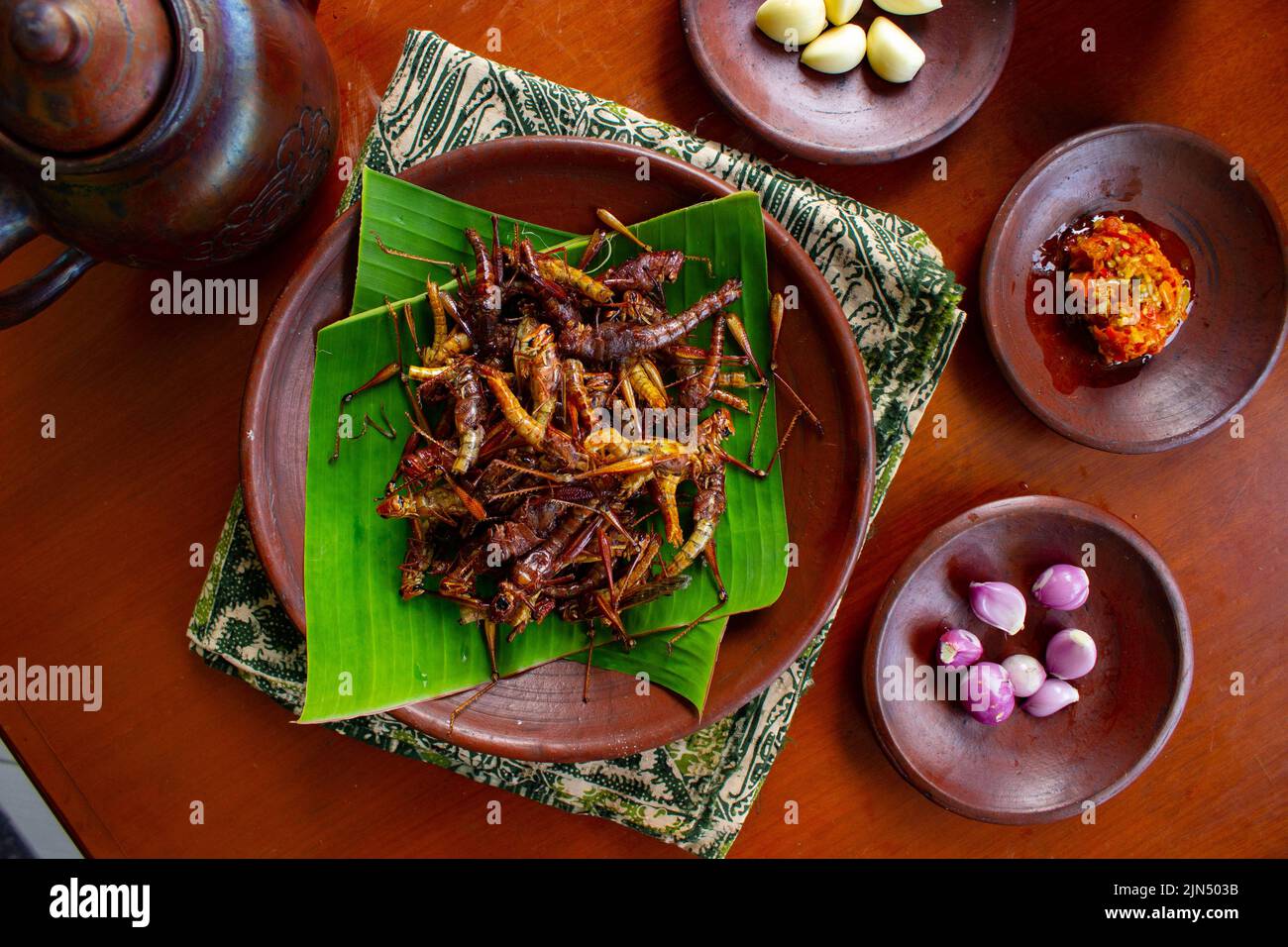 fried grasshopper or belalang goreng is traditional food from southeast ...