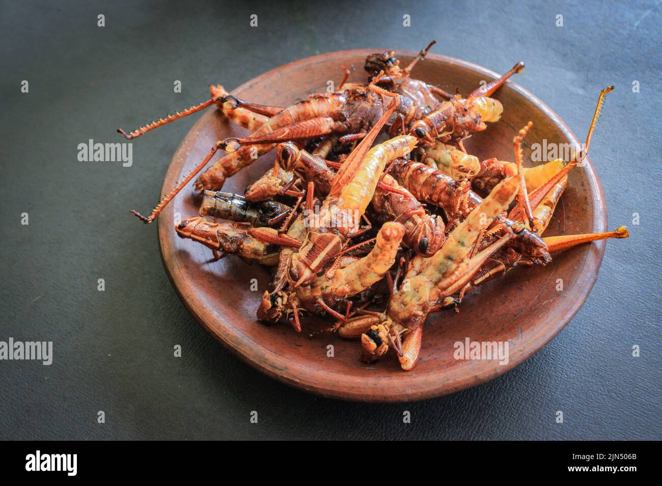 fried grasshopper or belalang goreng is traditional food from southeast ...