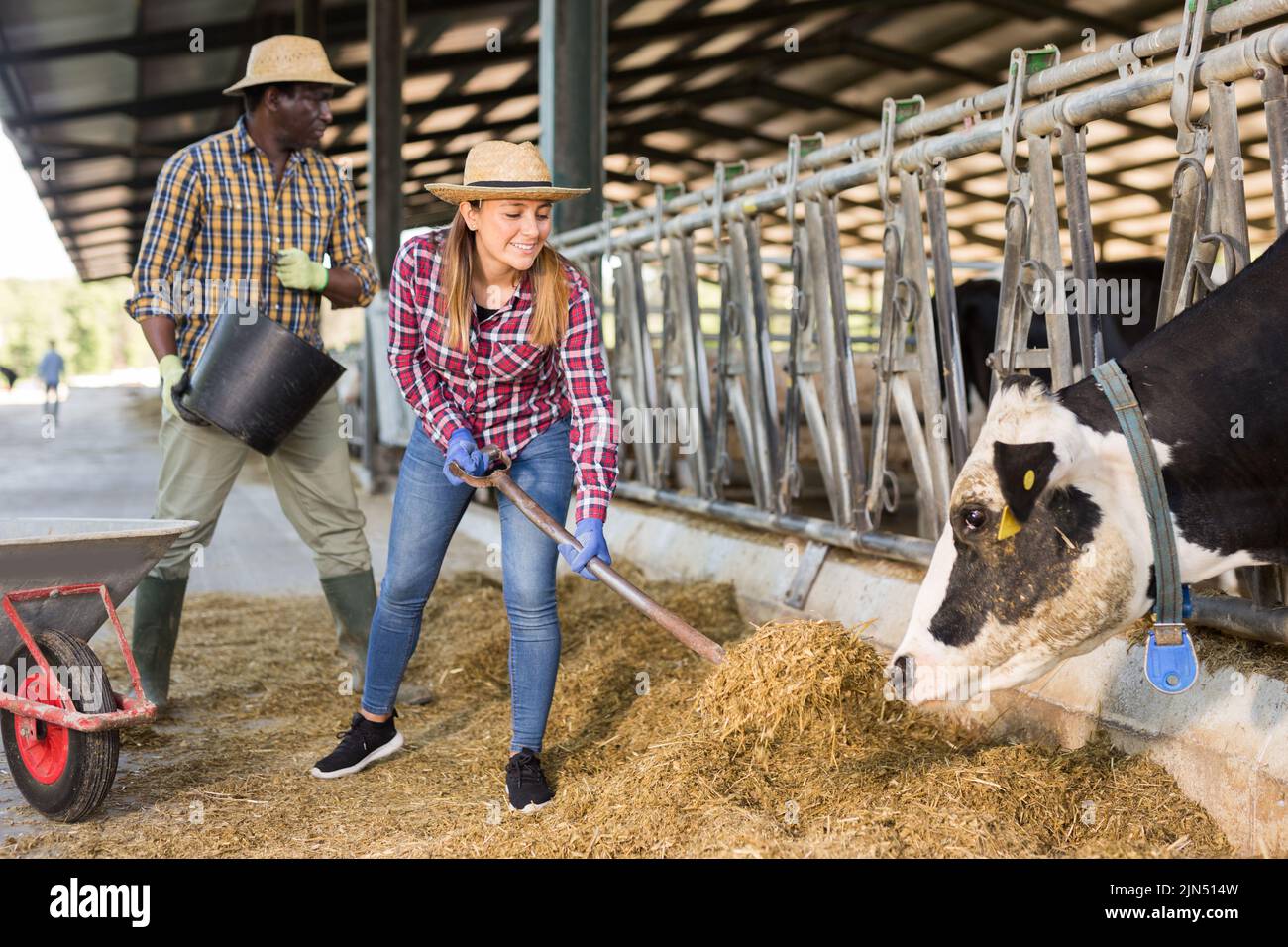 Farmers farmland farm rural stall hi-res stock photography and images ...