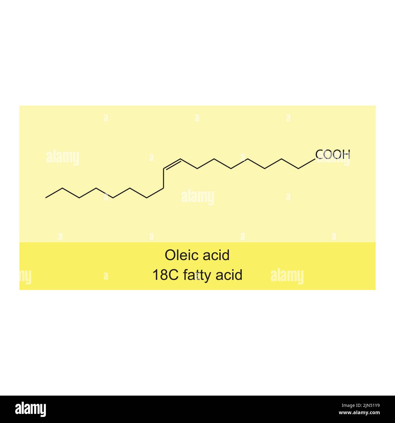 Oleic acid (18 carbon fatty acid) chemical structure on yellow ...