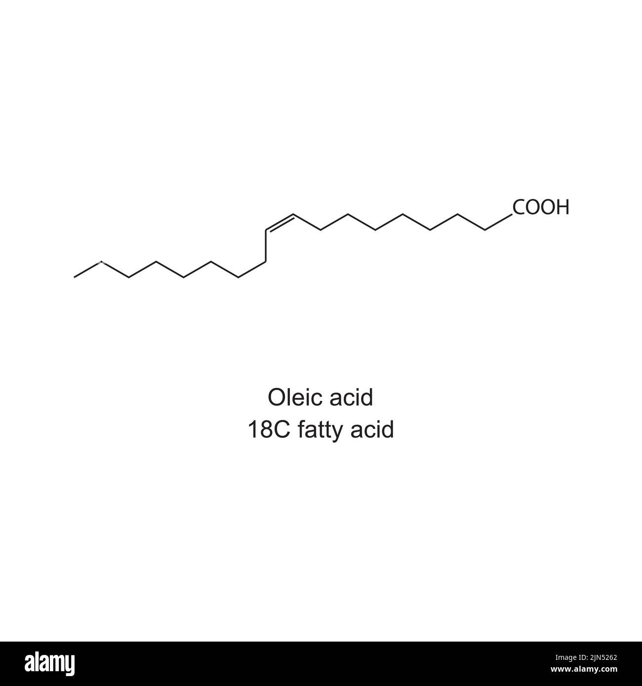 Oleic acid (18 carbon fatty acid) chemical structure on white ...