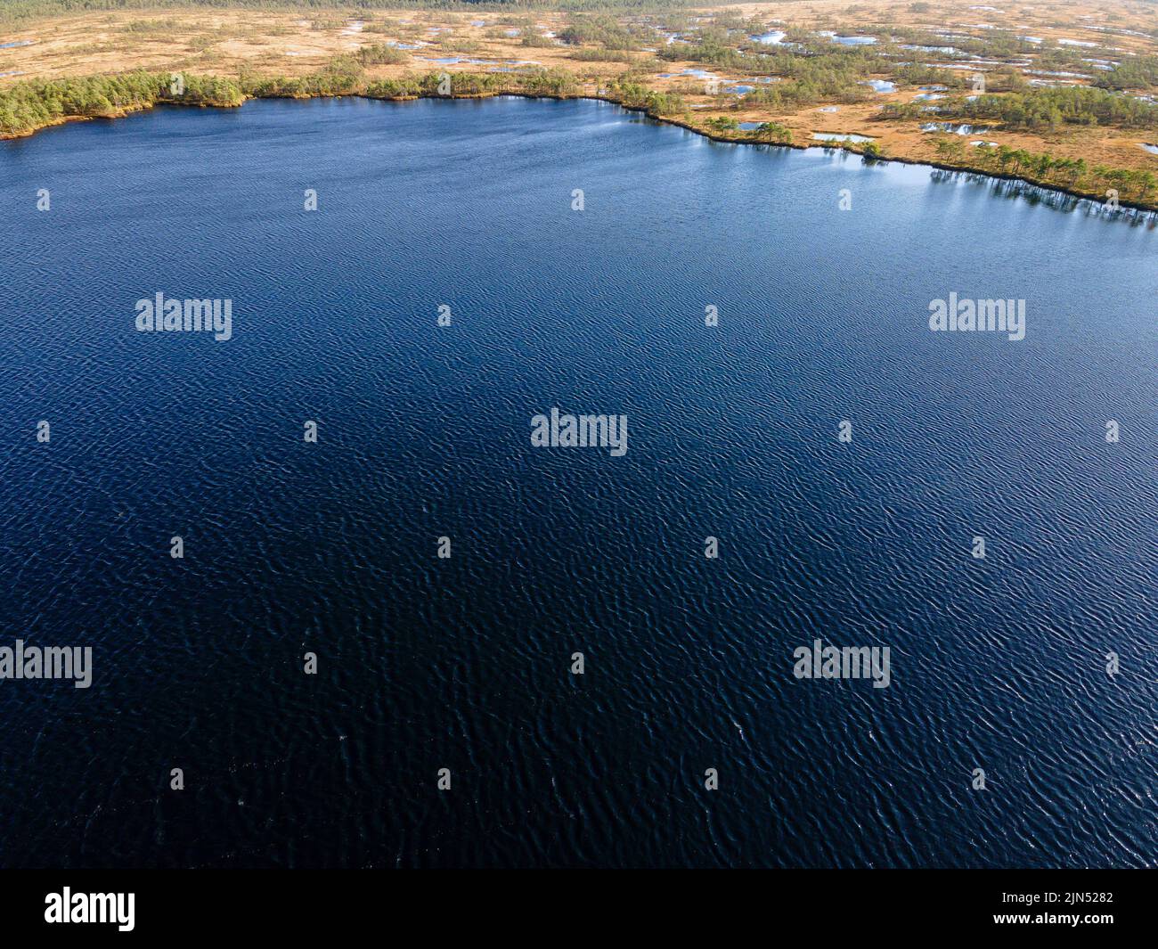 Swamp, bog and lakes in Estonian nature reserve Kakerdaja. Drone aerial ...