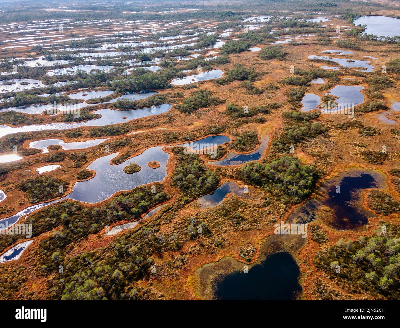 Swamp, bog and lakes in Estonian nature reserve Kakerdaja. Drone aerial ...