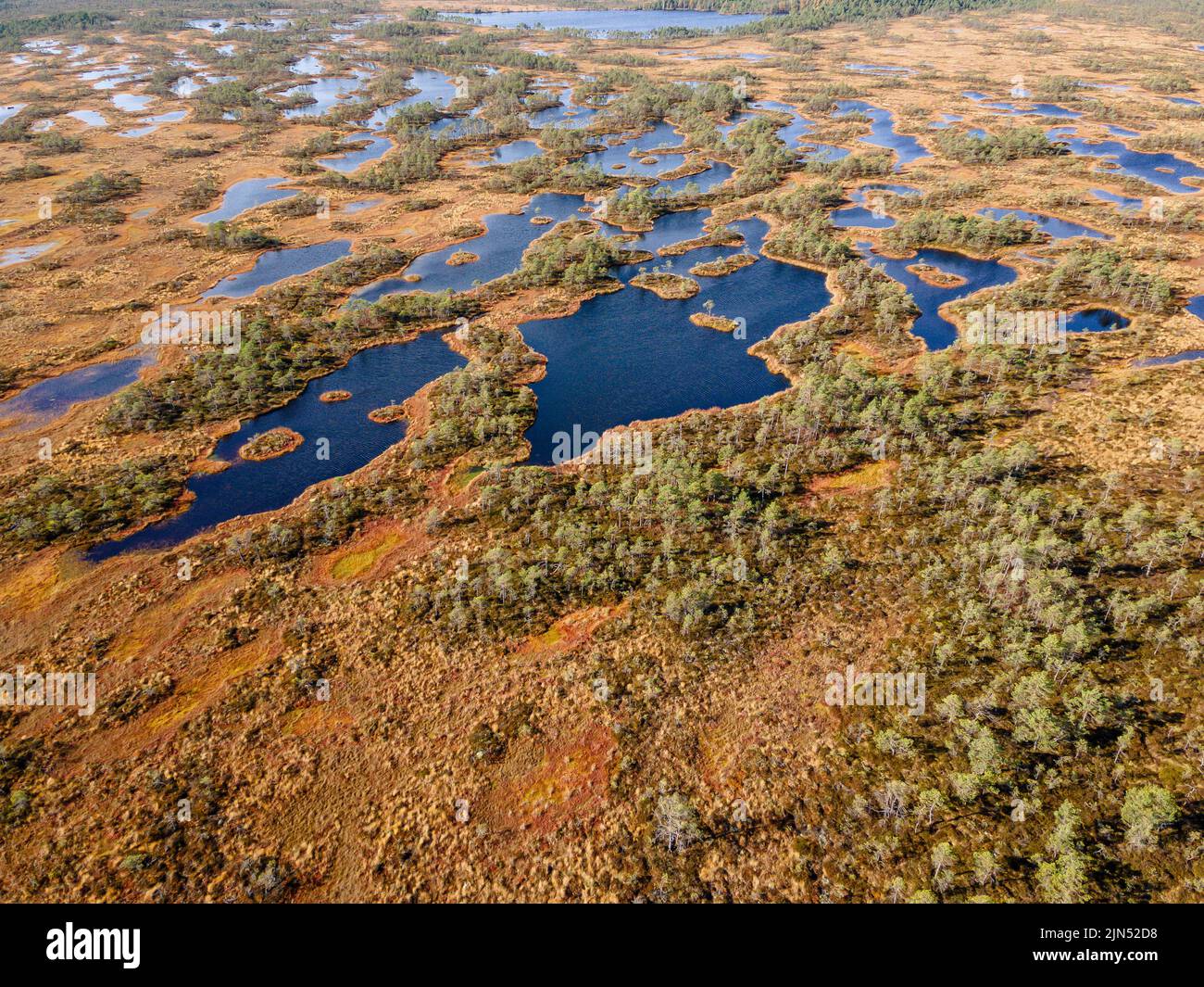 Swamp, bog and lakes in Estonian nature reserve Kakerdaja. Drone aerial ...