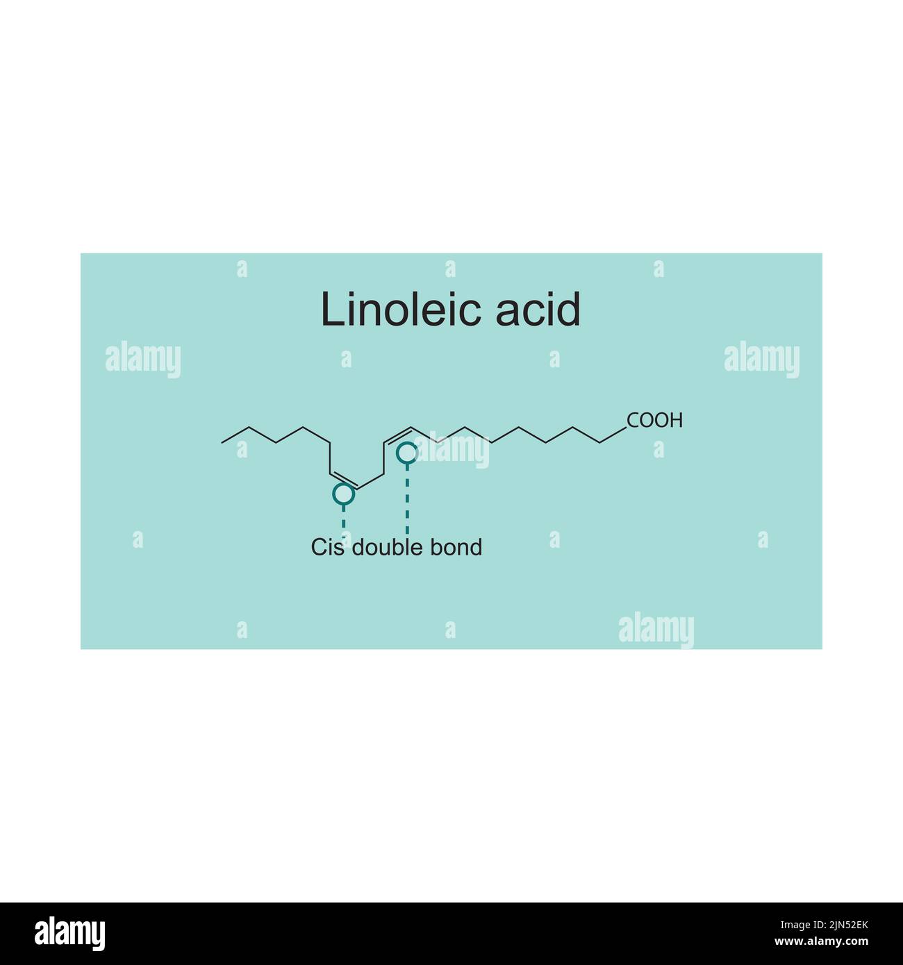 Linoleic acid (18 carbon fatty acid) chemical structure on blue ...