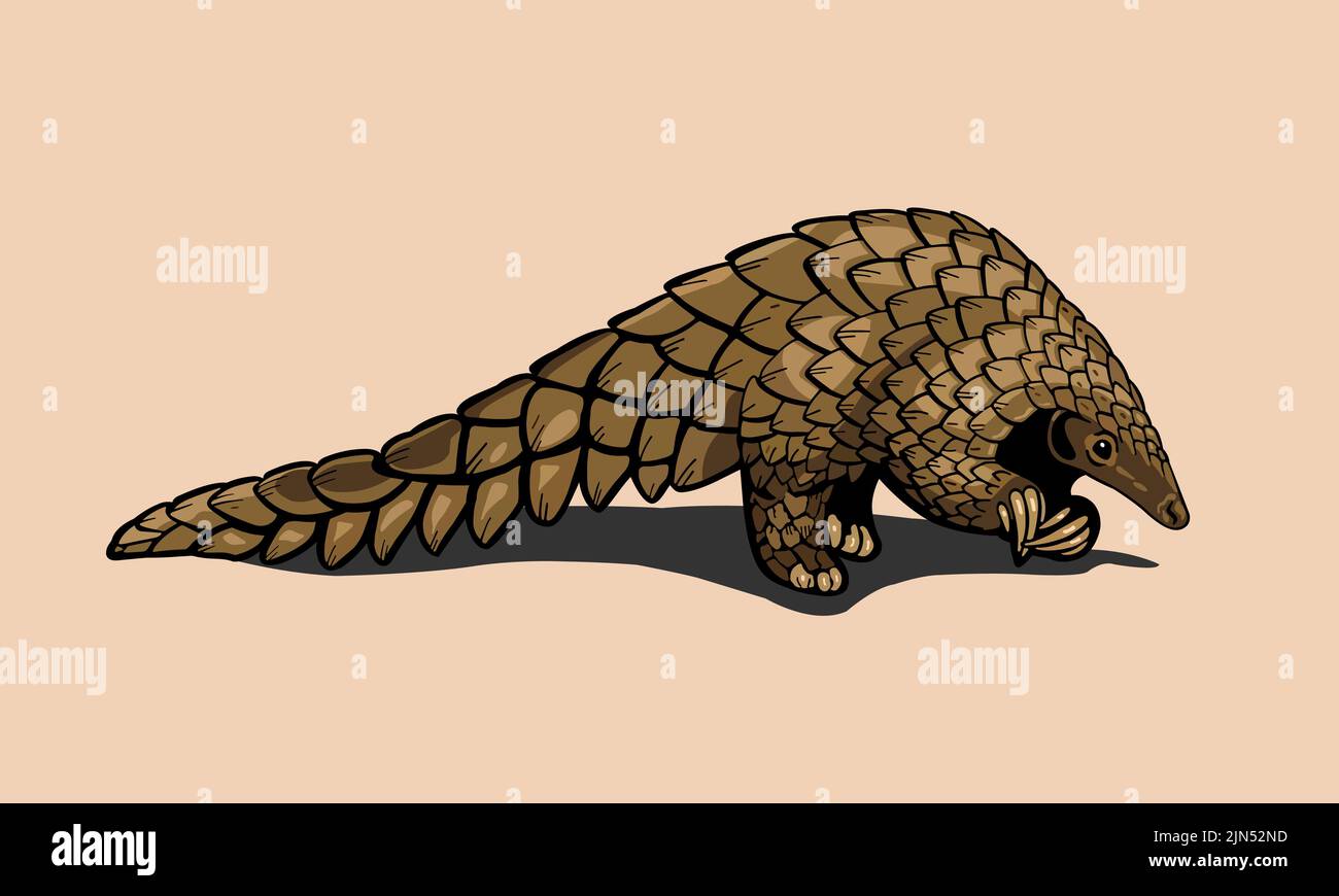 Mammal lives in Africa and Asia. Cute animal character design, symbols ...